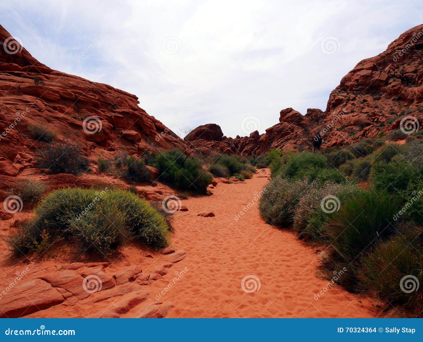 Path in Desert stock photo. Image of green, valley, desert - 70324364
