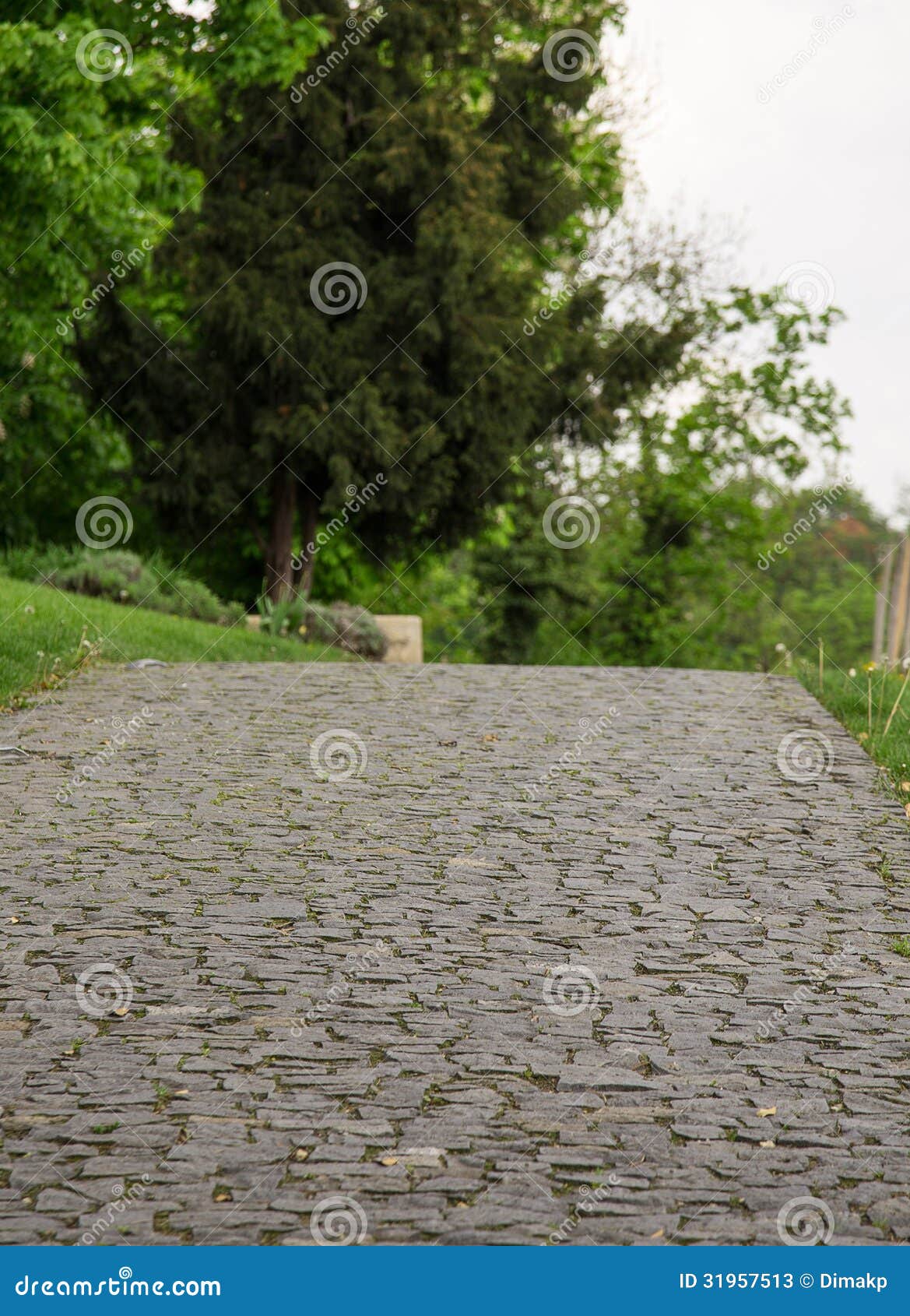 Path into the distance stock image. Image of park, bright - 31957513