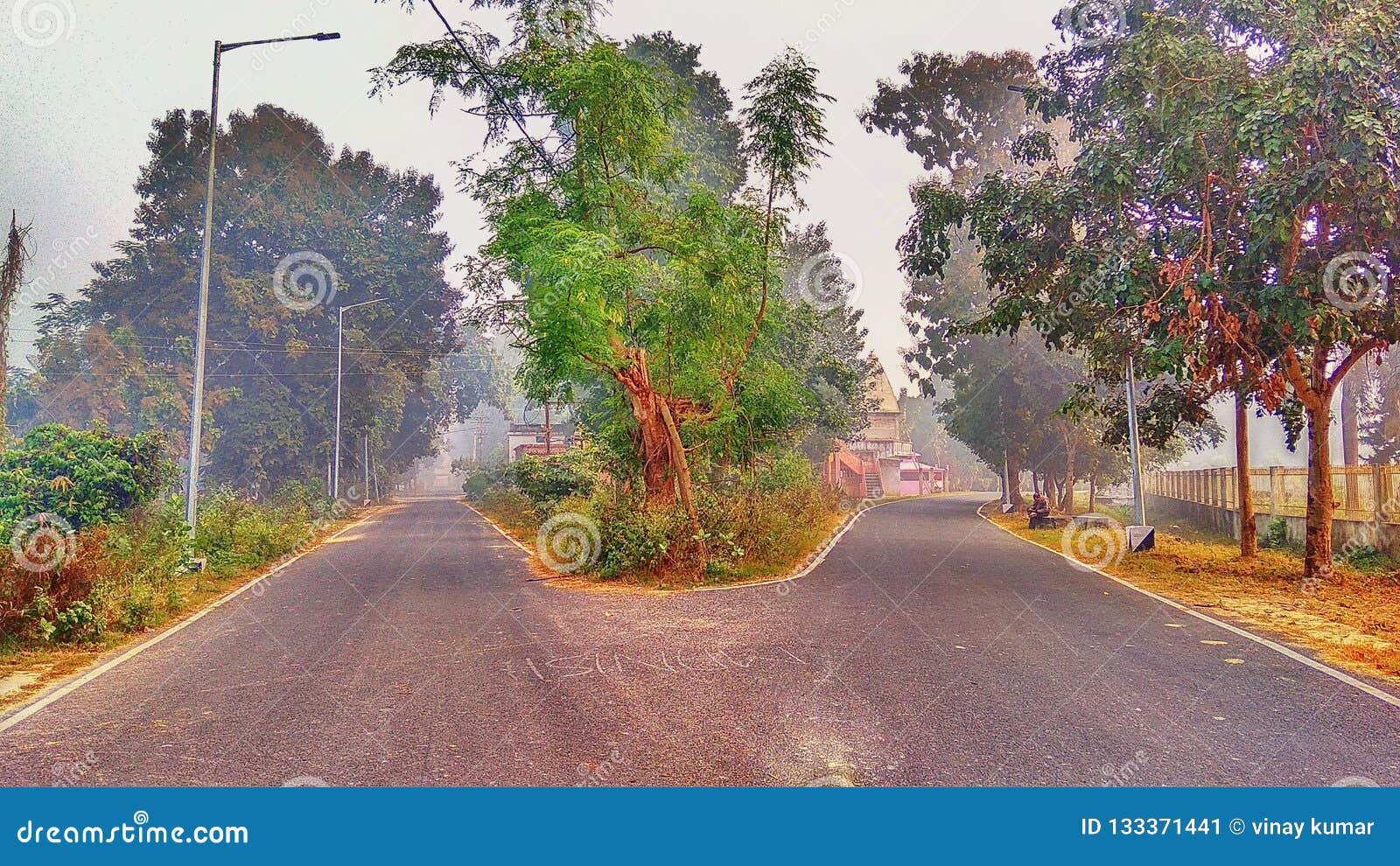 Path division stock image. Image of path, divided, division - 133371441