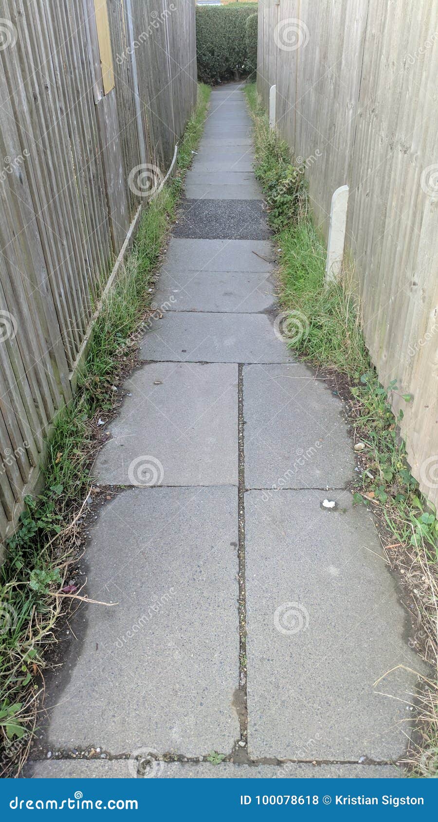 Path down an alley stock photo. Image of alan, grass - 100078618