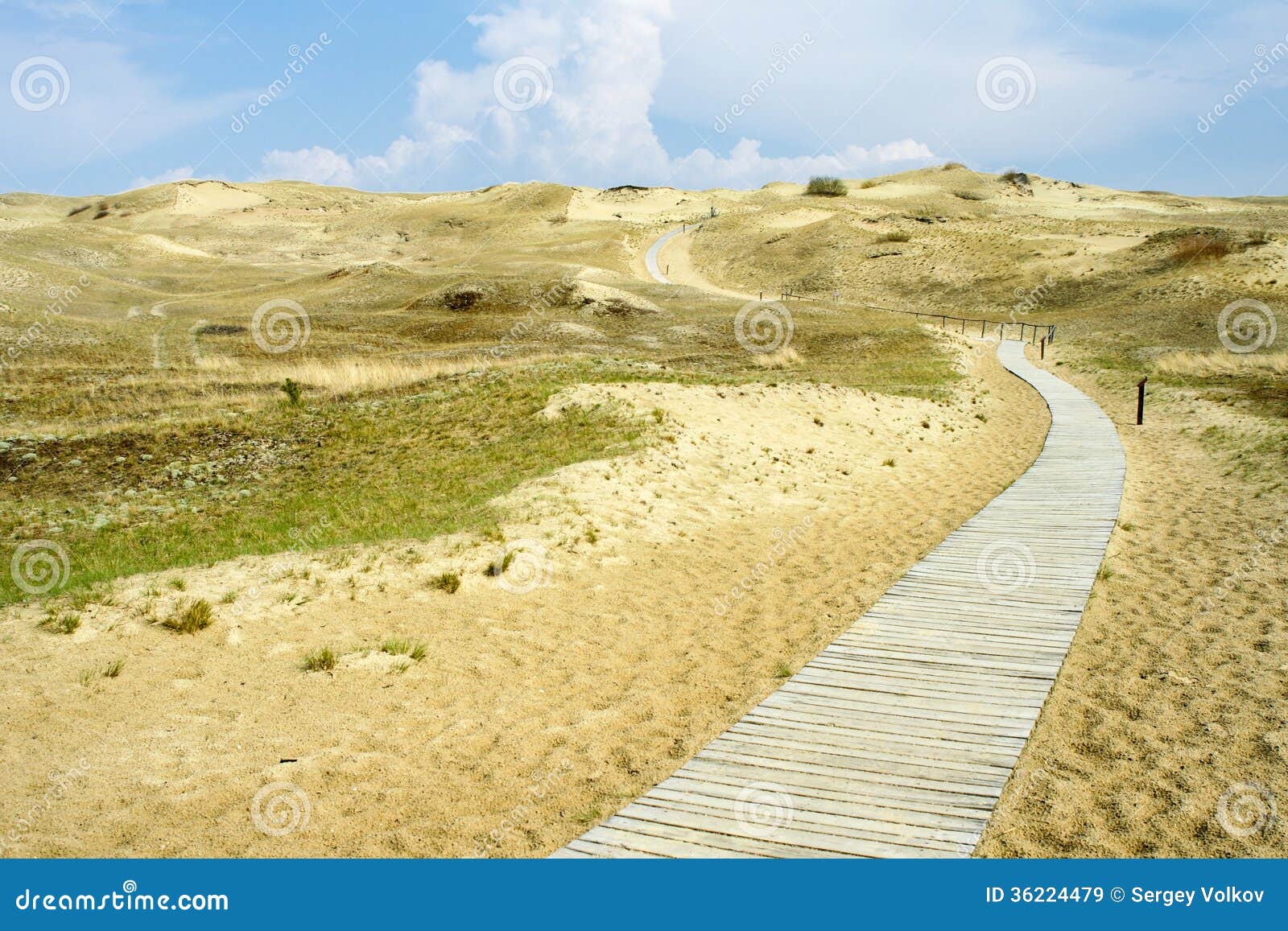 Path through the dunes stock image. Image of adventure - 36224479