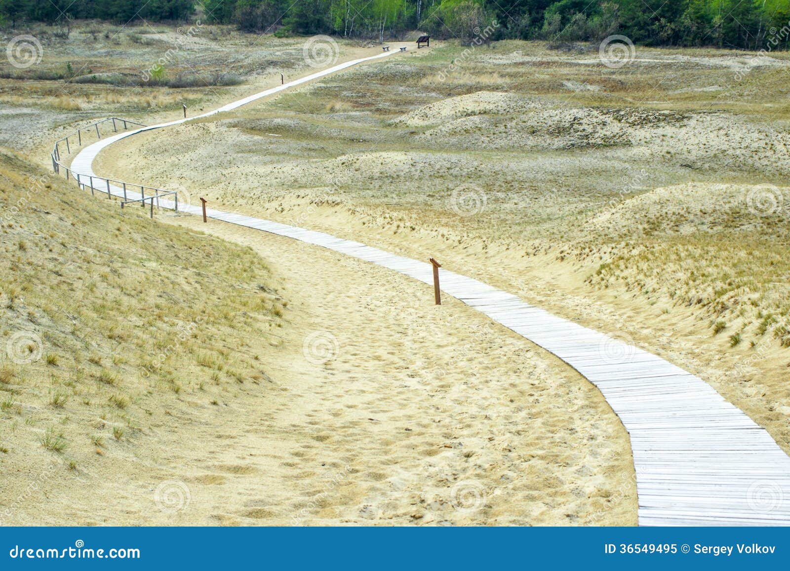 Path through the dunes stock image. Image of desert, lithuania - 36549495
