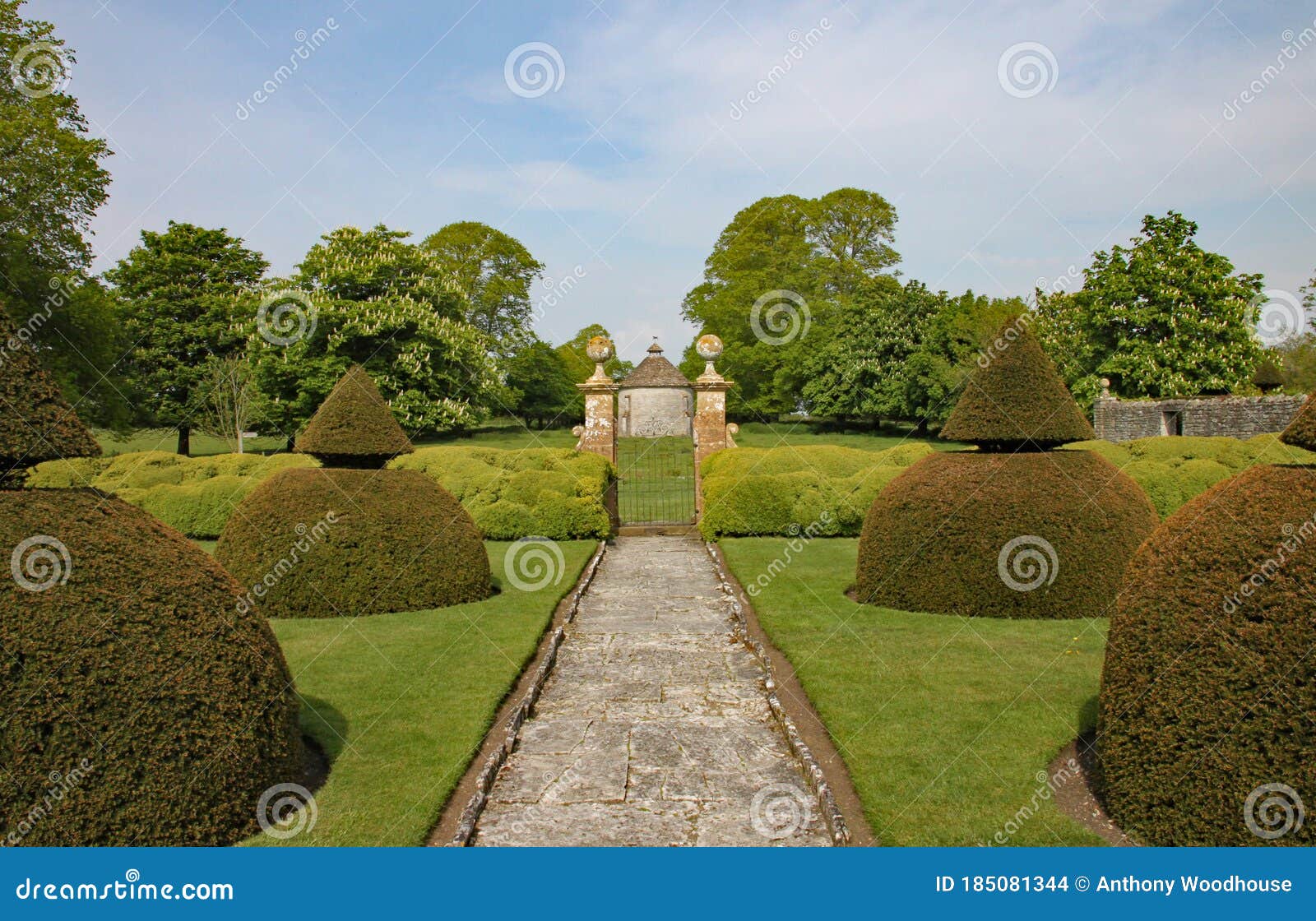 A Path Edged with with Rounded Topiary Bushes with a Conical Top Leads ...