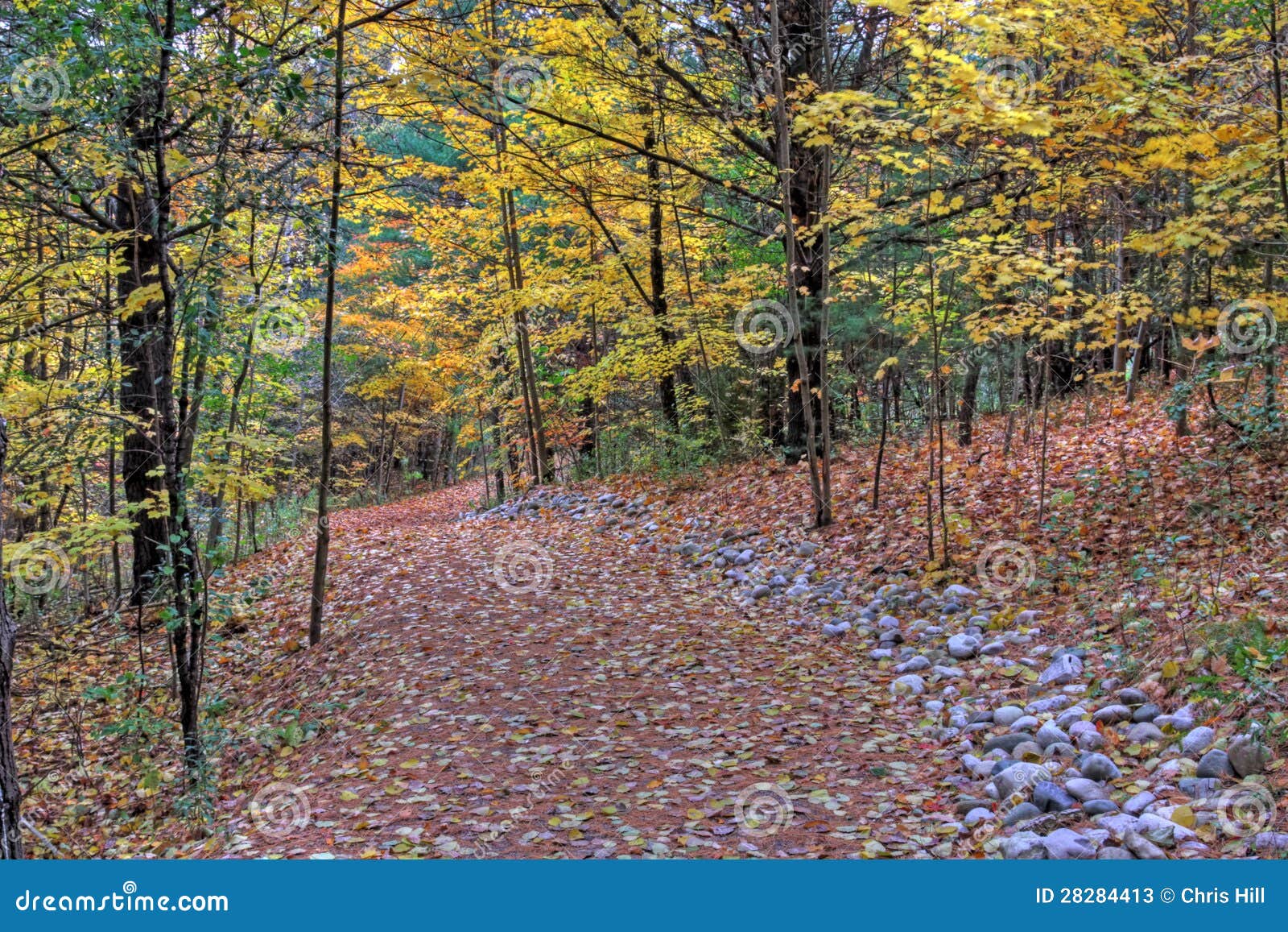 Path in the Fall Forest stock image. Image of footpath - 28284413