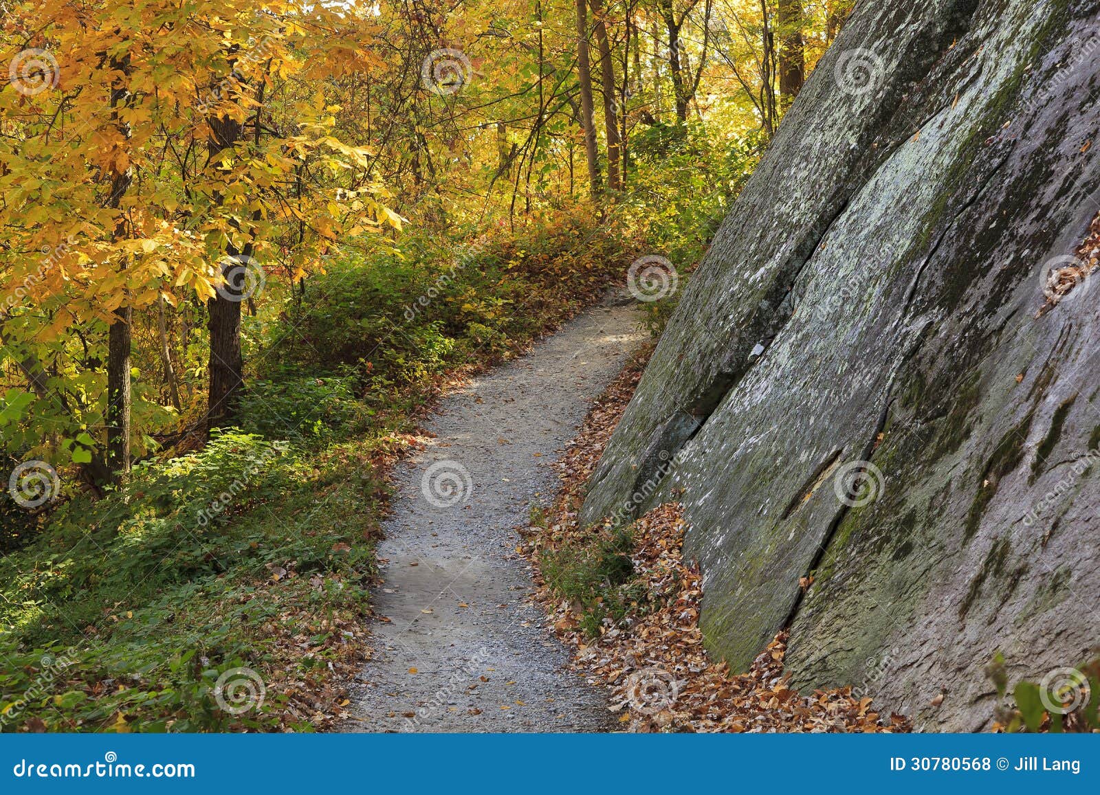 Path in the Fall stock photo. Image of foliage, natural - 30780568