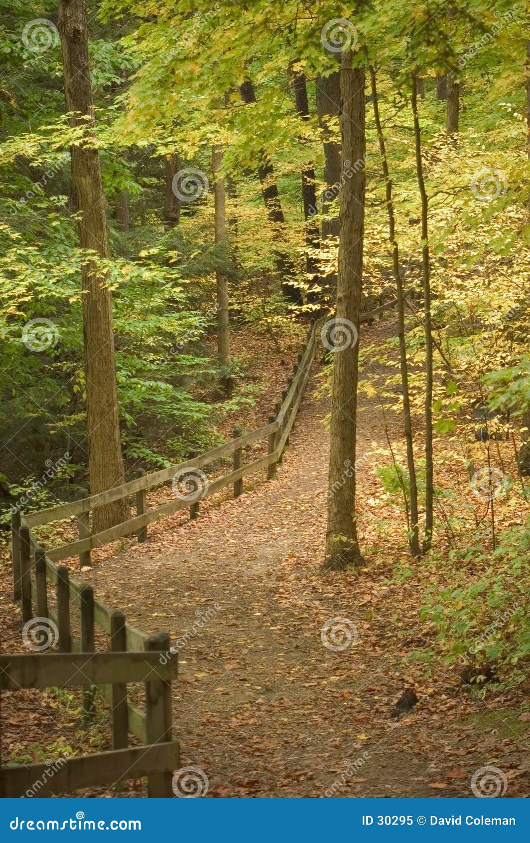 Path with Fence stock image. Image of travel, ohio, walk - 30295