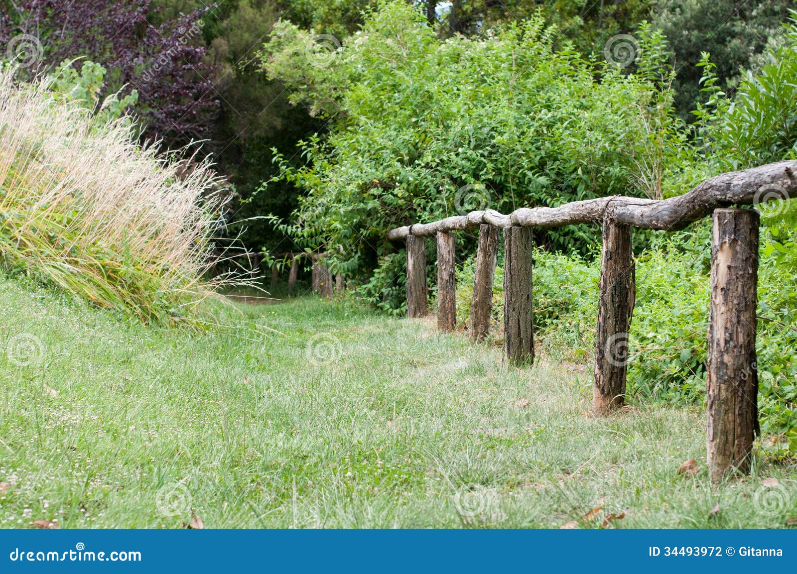 Path with fence stock photo. Image of forest, calm, grass - 34493972