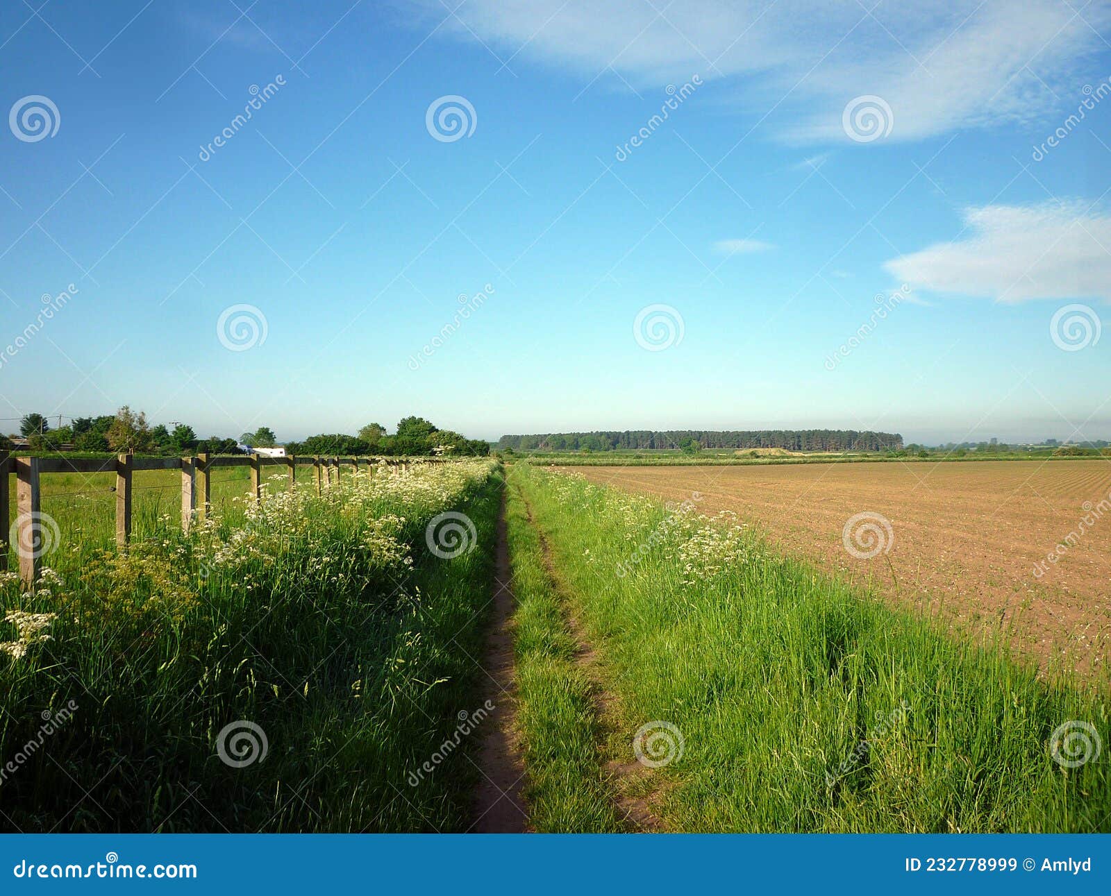 Path by Fence through Fields Stock Image - Image of path, countryside ...