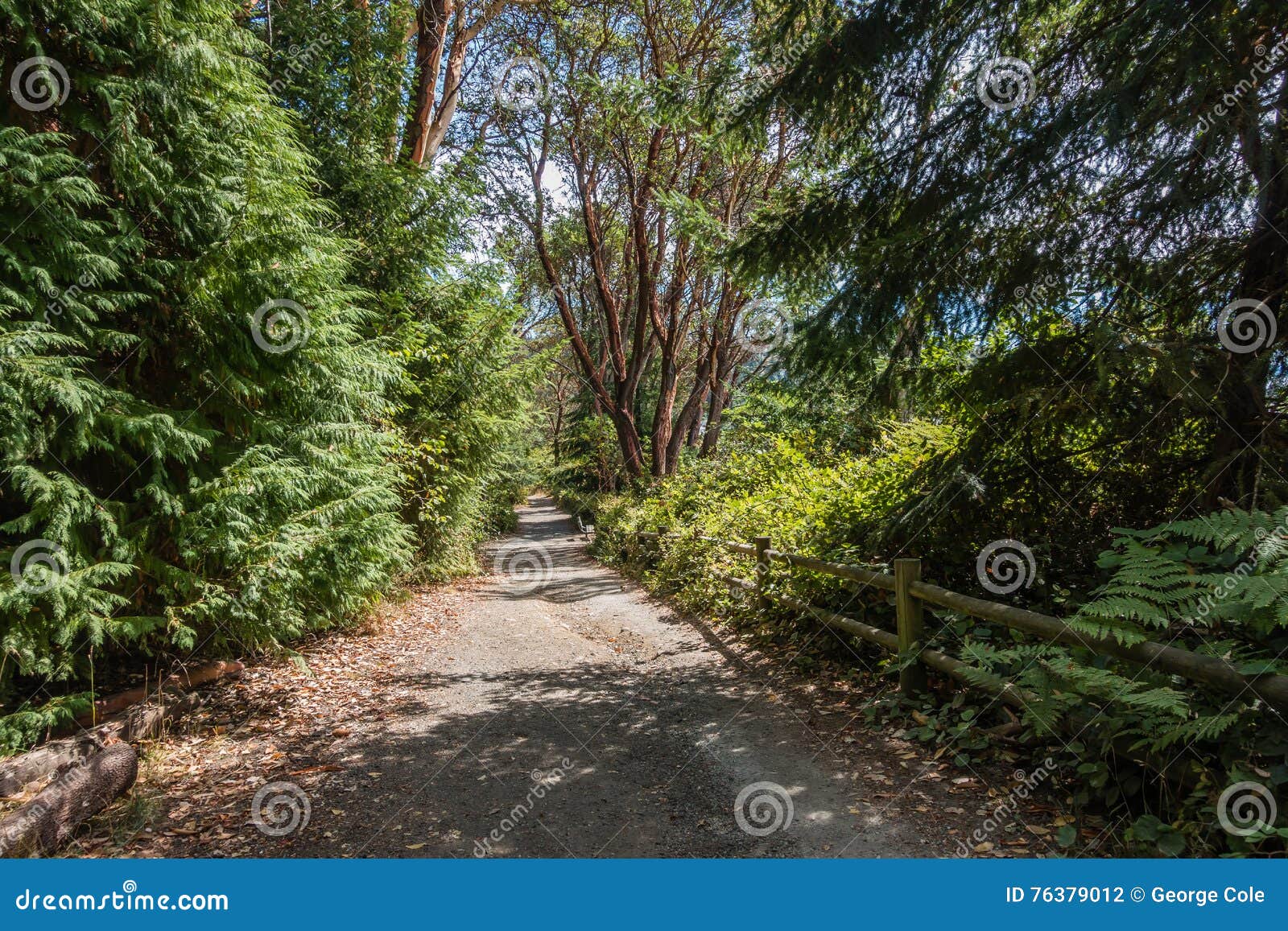 Path and Fence stock photo. Image of fence, flora, west - 76379012