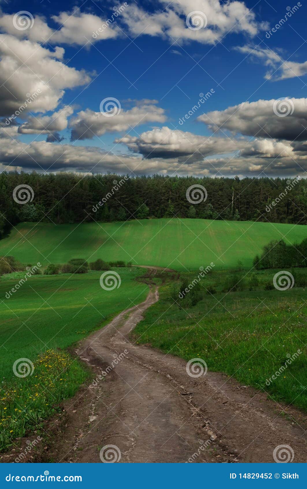 Path through Field stock photo. Image of farm, forest - 14829452