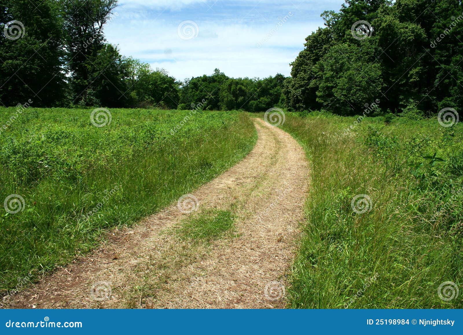 Path through field stock photo. Image of ground, meadow - 25198984