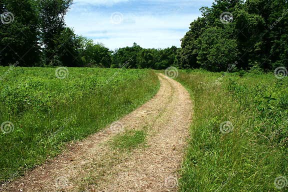 Path through field stock photo. Image of ground, meadow - 25198984