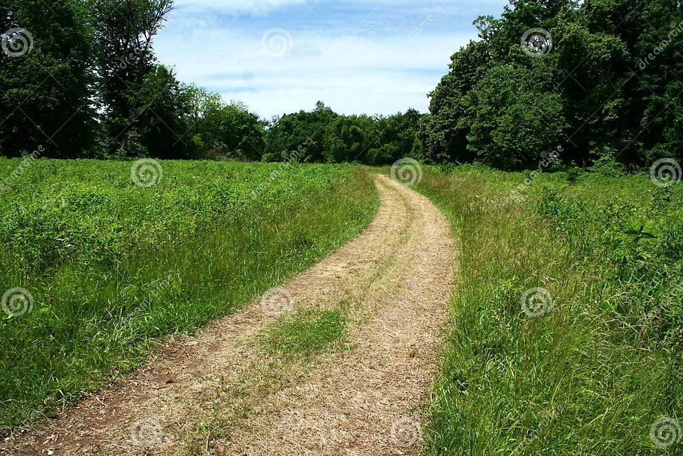 Path through field stock photo. Image of ground, meadow - 25198984