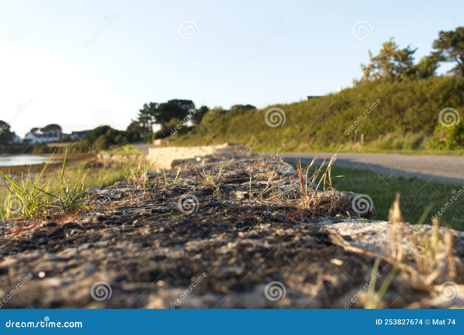 Path through the field stock photo. Image of river, path - 253827674