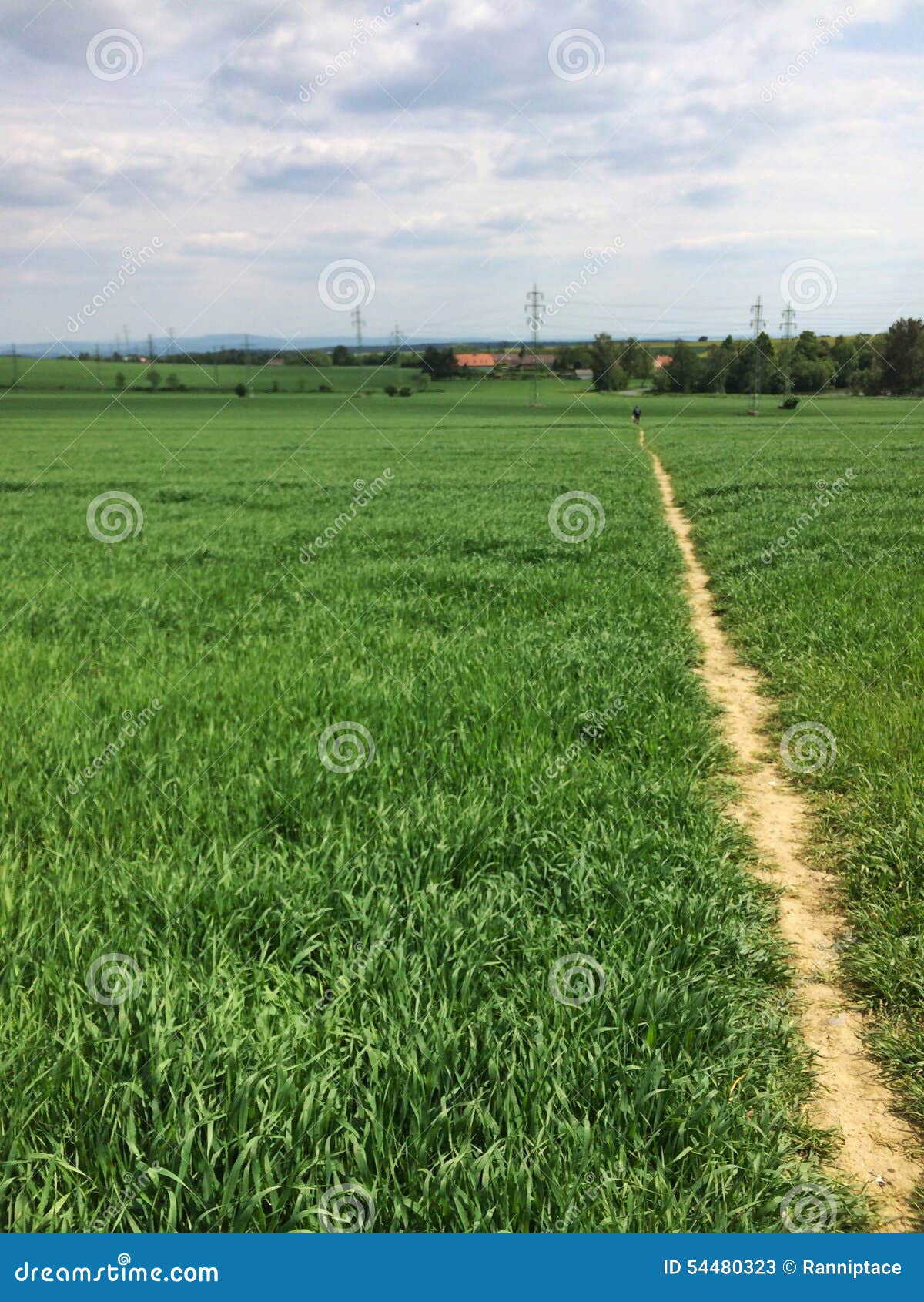 Path stock image. Image of green, cross, walk, path, field - 54480323