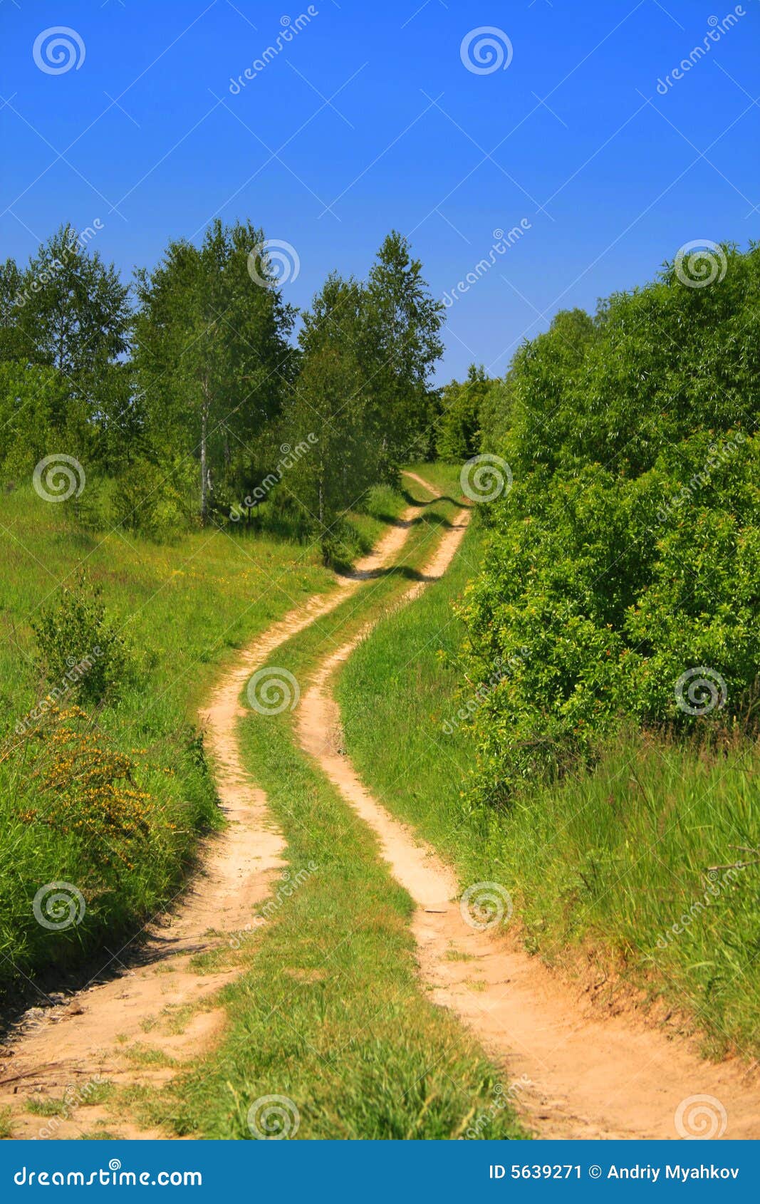 Path through field stock image. Image of bush, lane, idyllic - 5639271