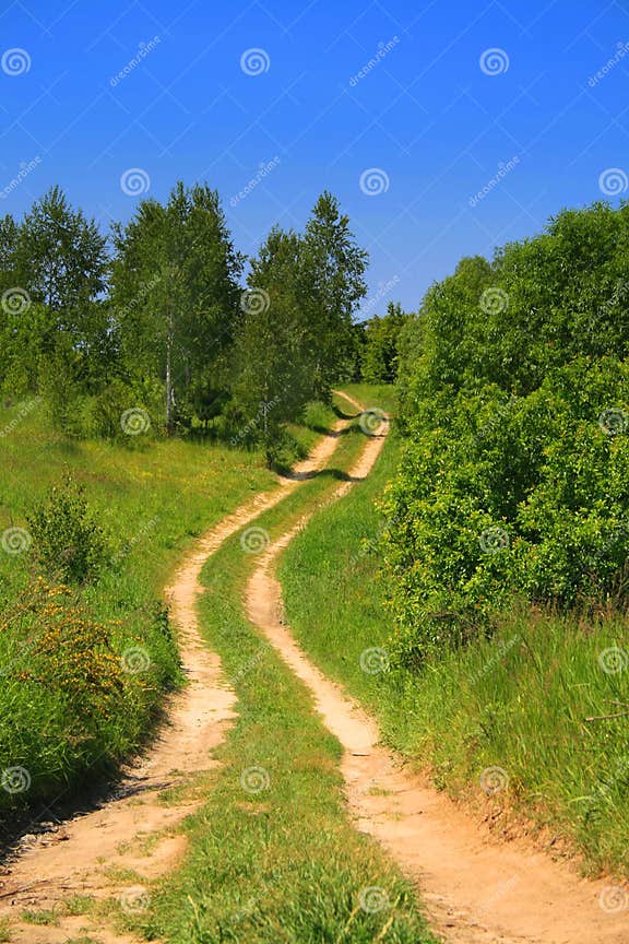 Path through field stock image. Image of bush, lane, idyllic - 5639271