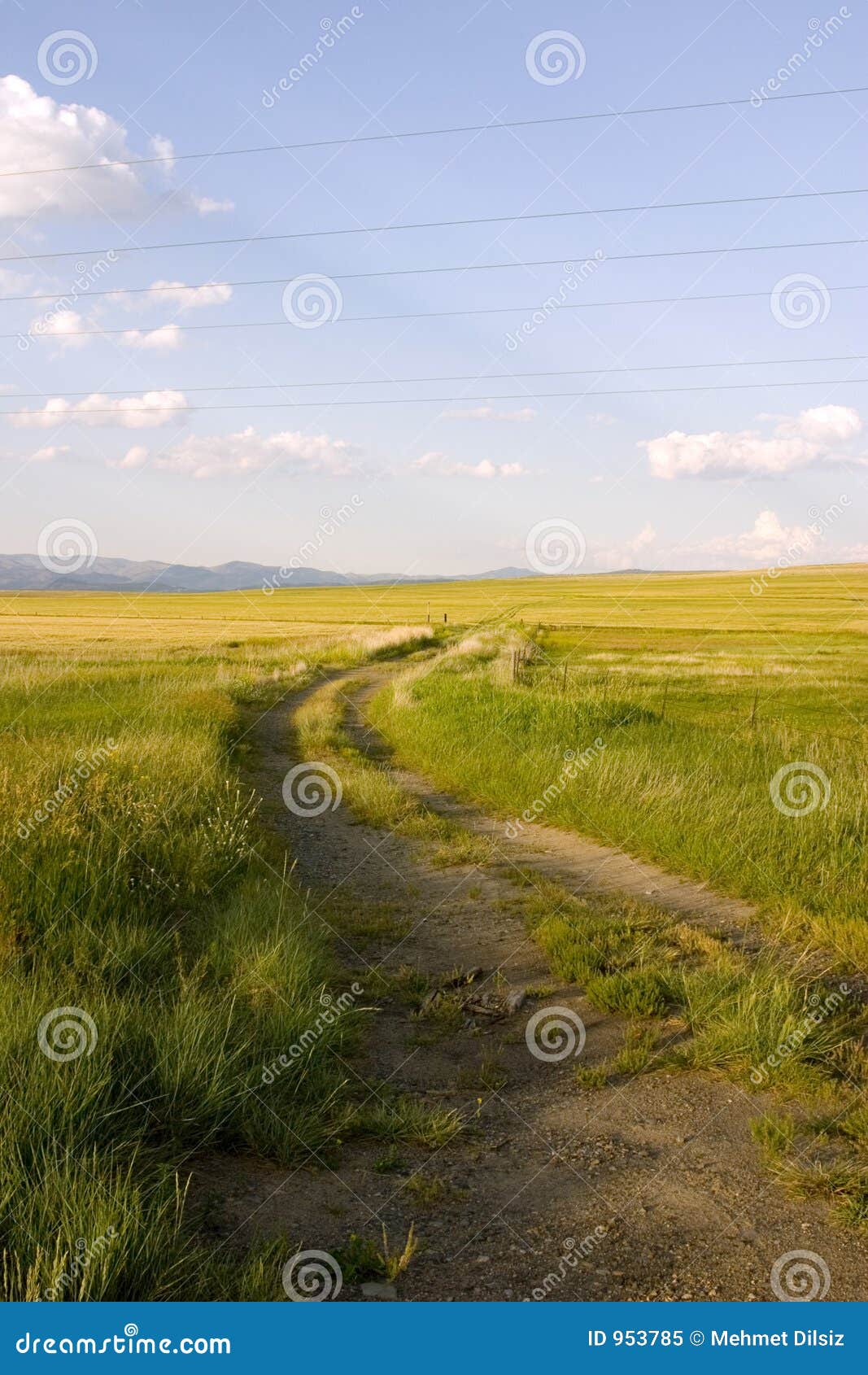 Path in the Field stock image. Image of space, colors, country - 953785
