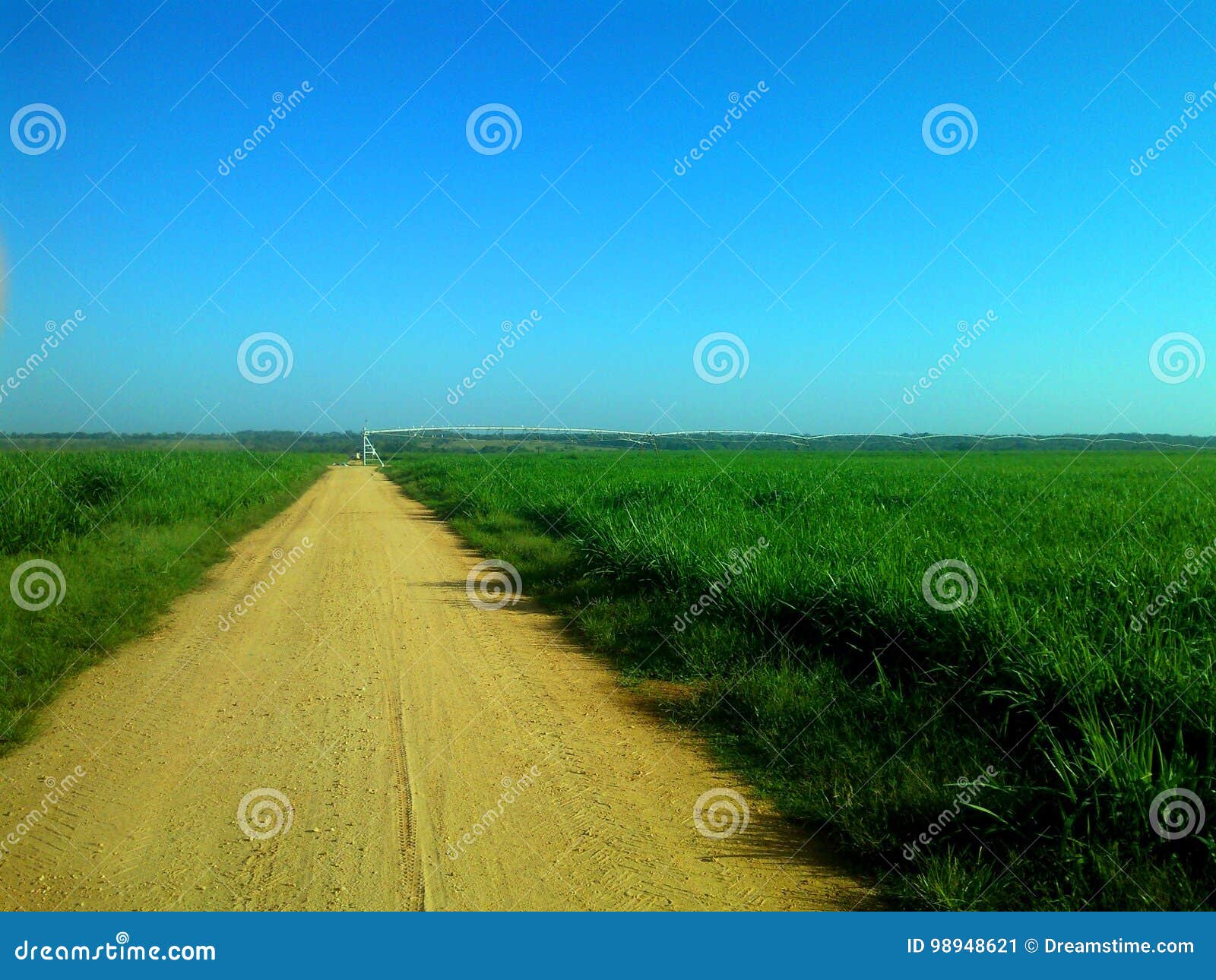 Path through the field stock image. Image of countryside - 98948621