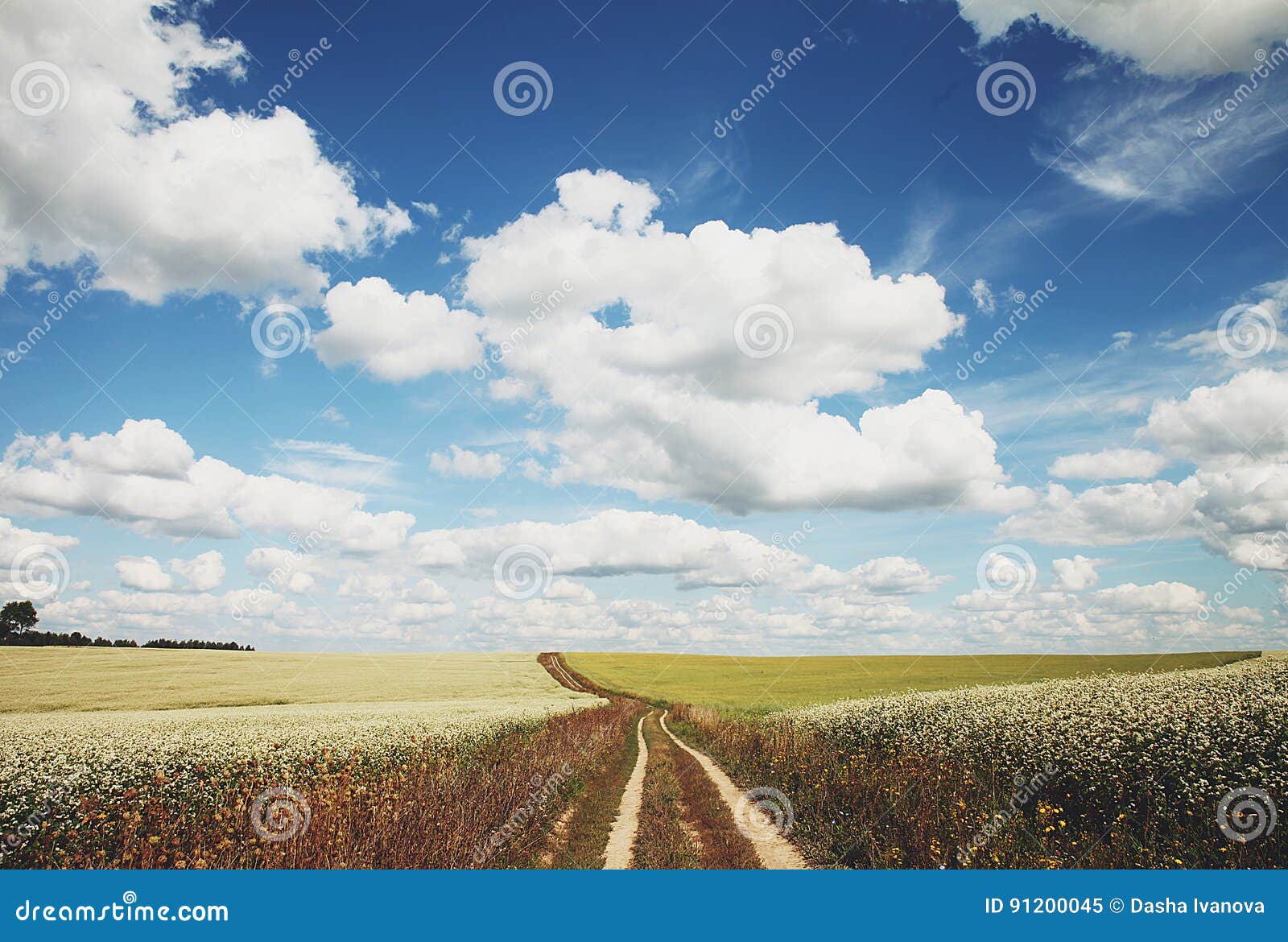 Path in the field stock image. Image of trail, path, clouds - 91200045
