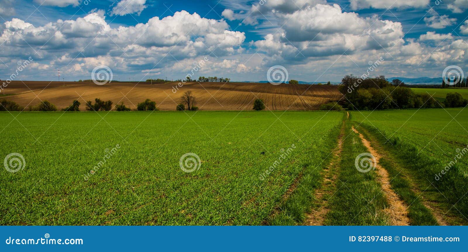 Path Field and Sky stock photo. Image of nature, beautiful - 82397488