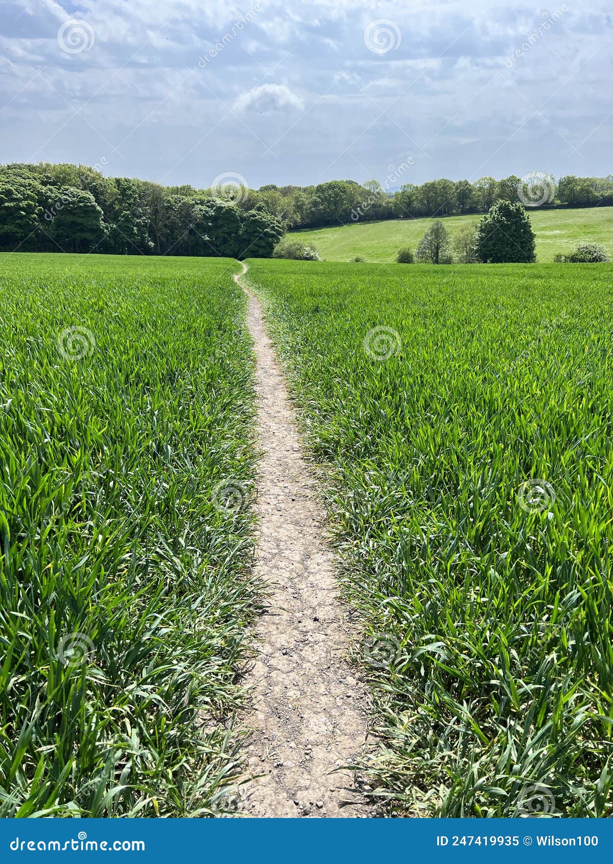 Path through Field stock image. Image of lead, small - 247419935