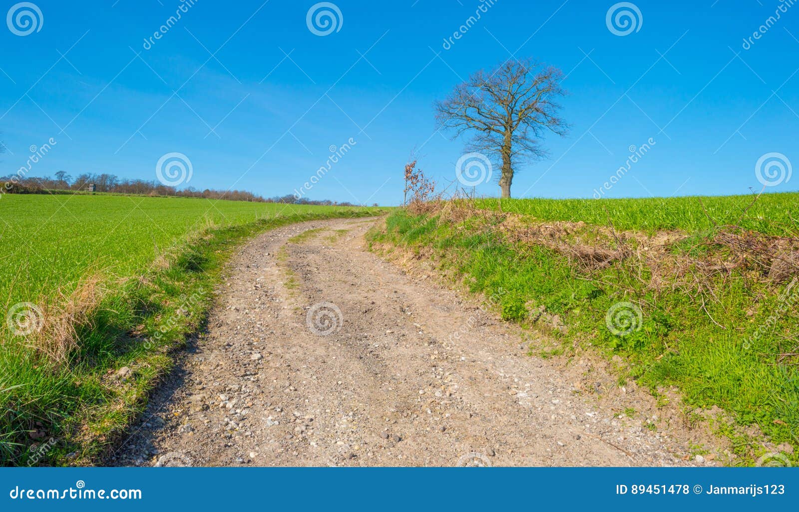 Path through a Field in Spring Stock Photo - Image of path, meadow ...