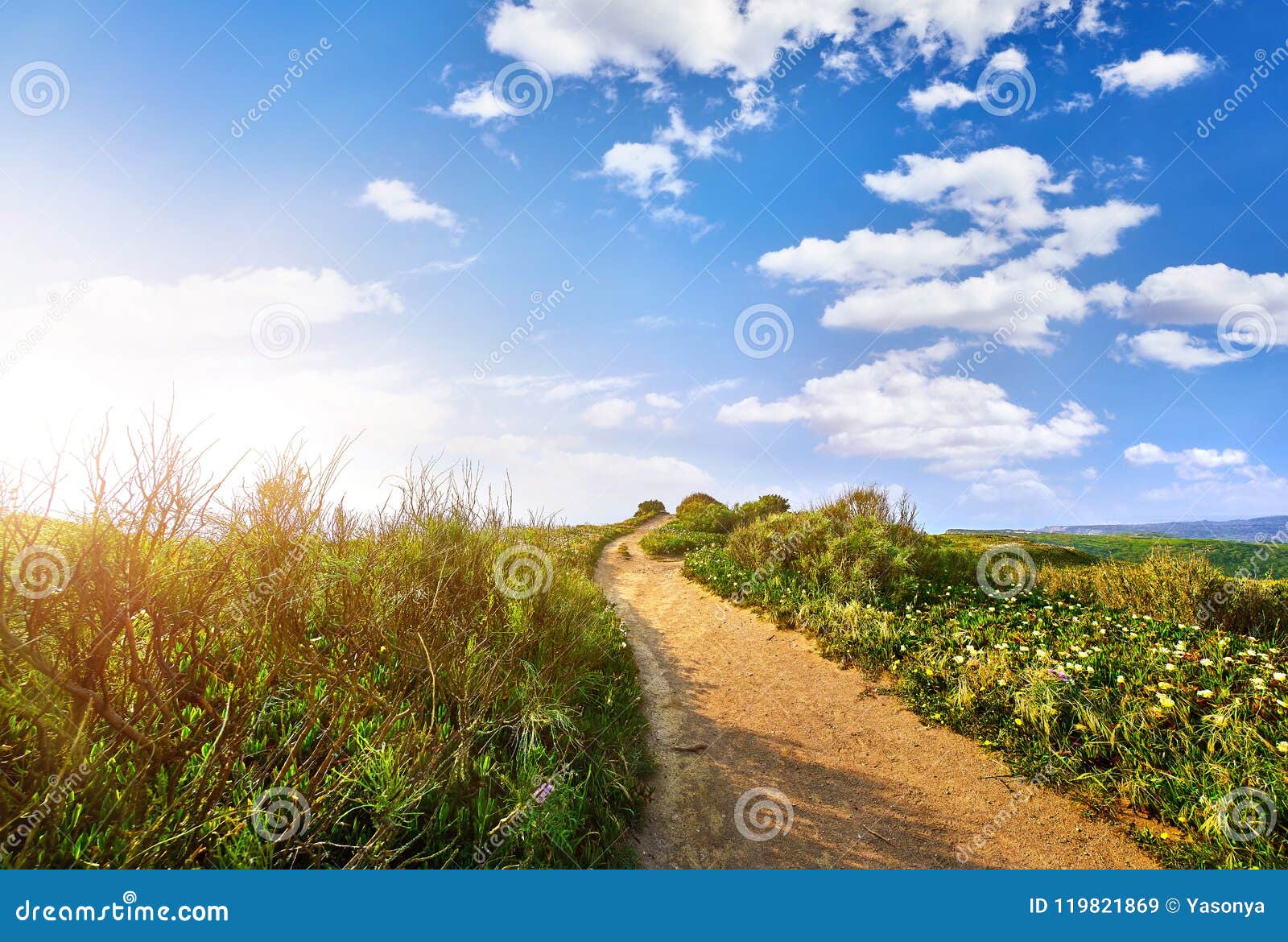 Path among Fields with Green Grass Leading Stock Image - Image of ...