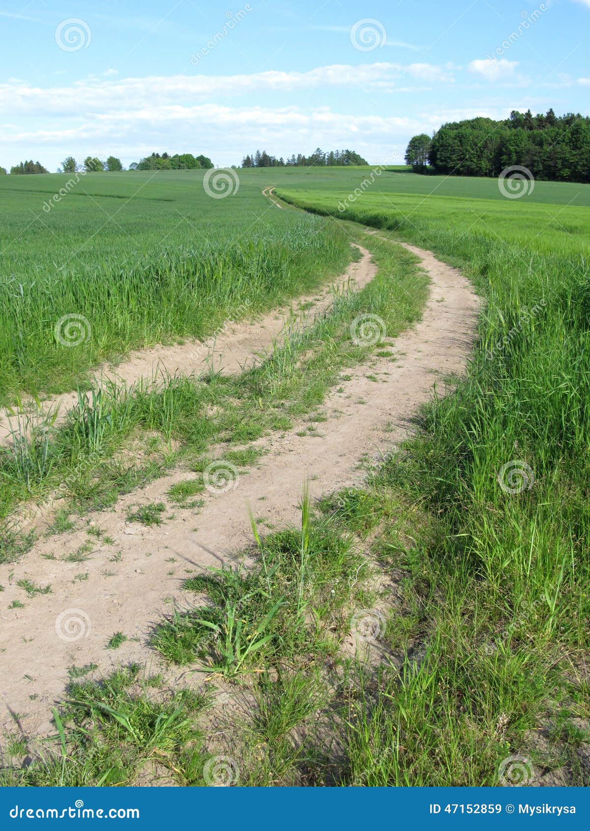 Path in the fields stock image. Image of summer, agronomy - 47152859
