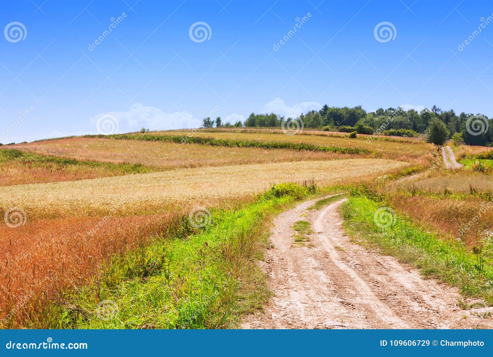 A New Path Through The Fields. An Excavator And A Grader Drove The Way ...