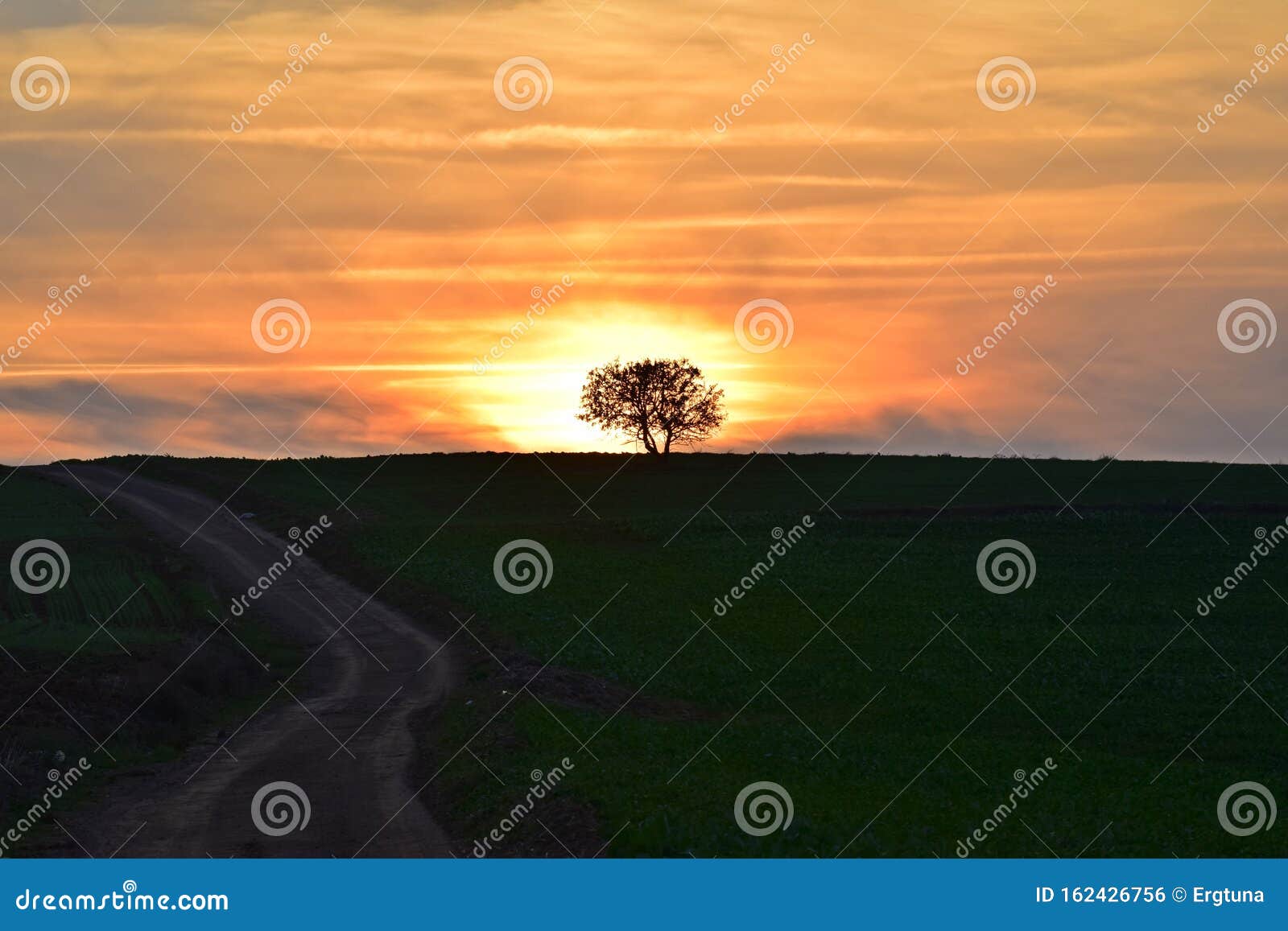 A Path between Fields and a Tree Behind Which the Sun is Setting Stock ...