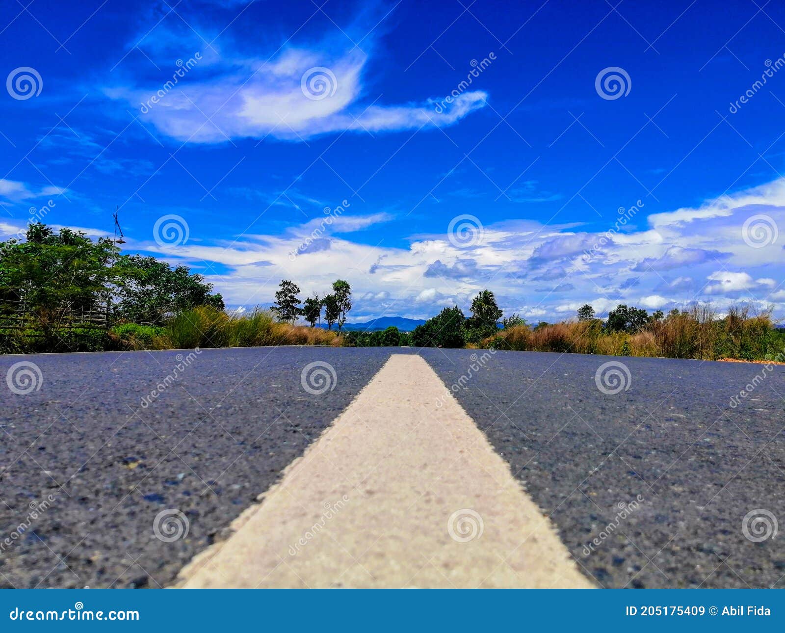 A Path Filled with Beautiful Scenery Stock Image - Image of field ...