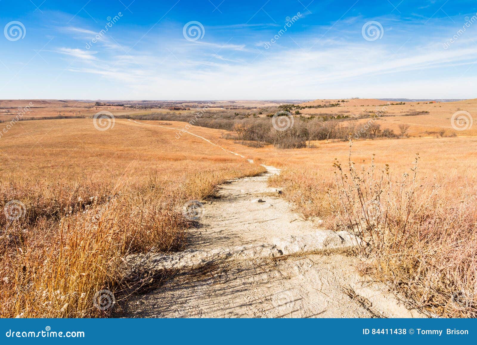 Path through a Flint Hills Prairie Stock Photo - Image of natural, path ...