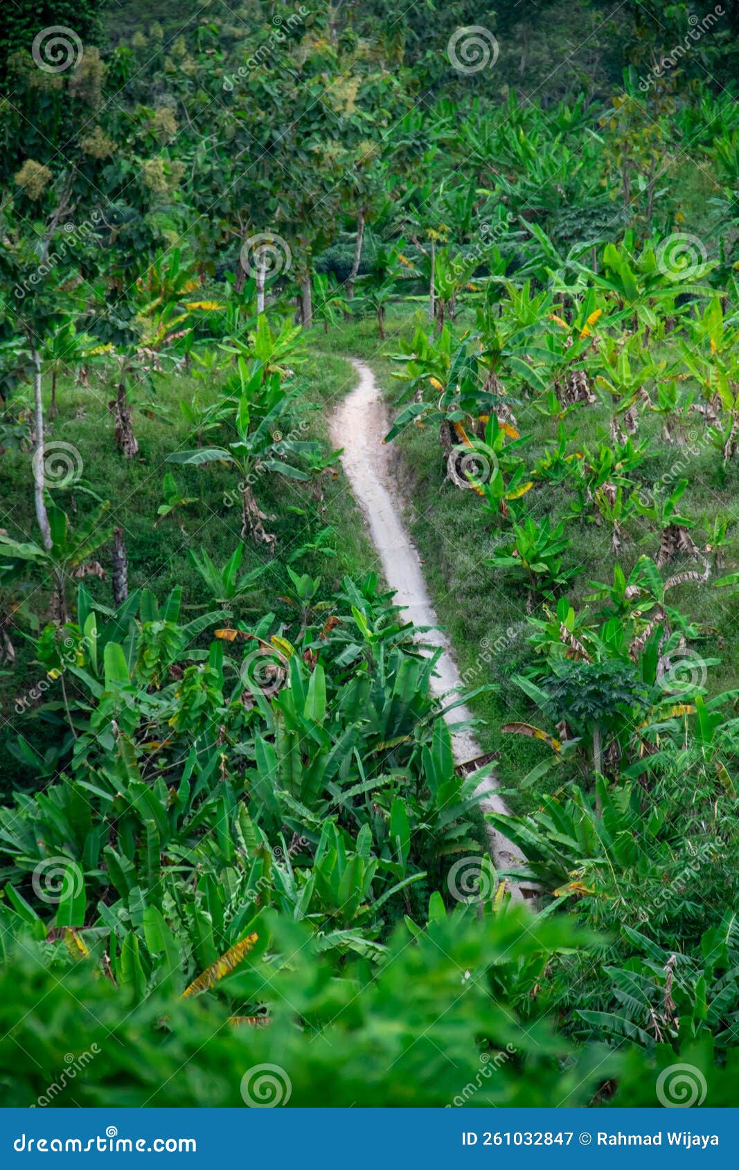 The Path at the Foot of the Mountain Seen from Above Stock Image ...