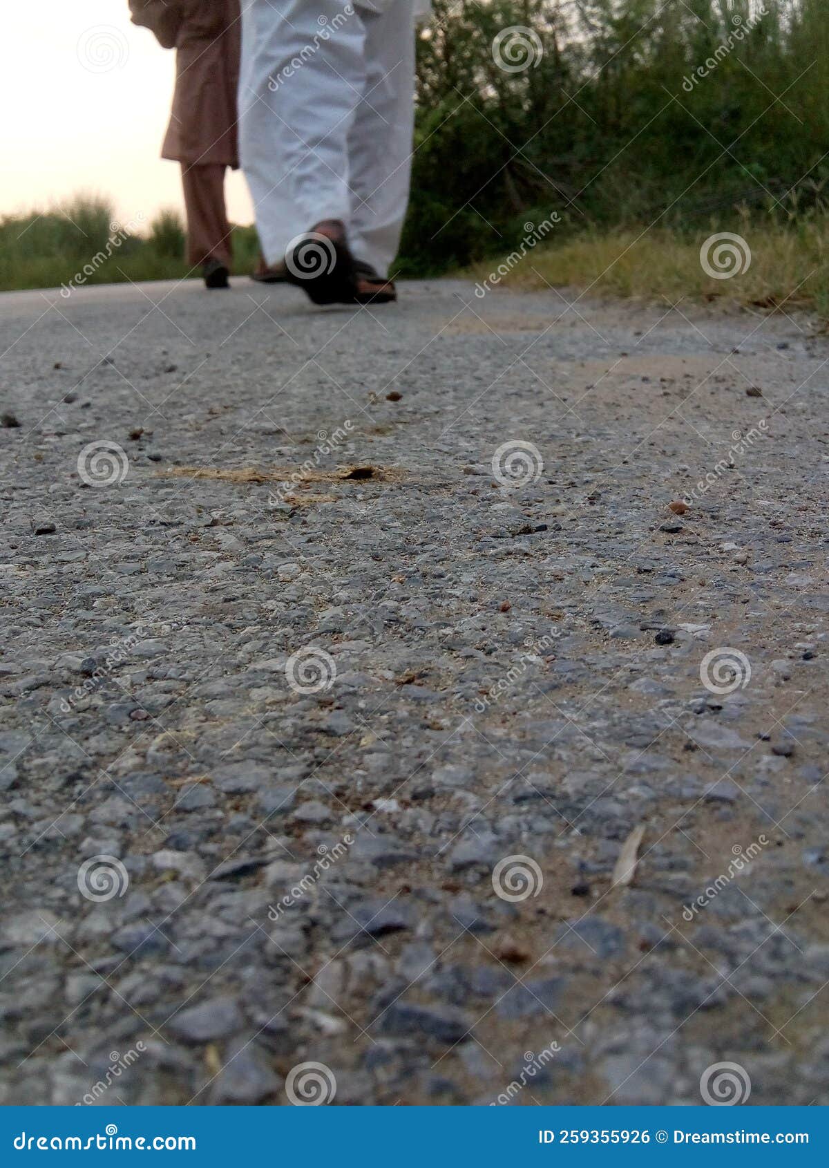 Path Foot Way Nature Morning Stock Photo - Image of path, morning ...