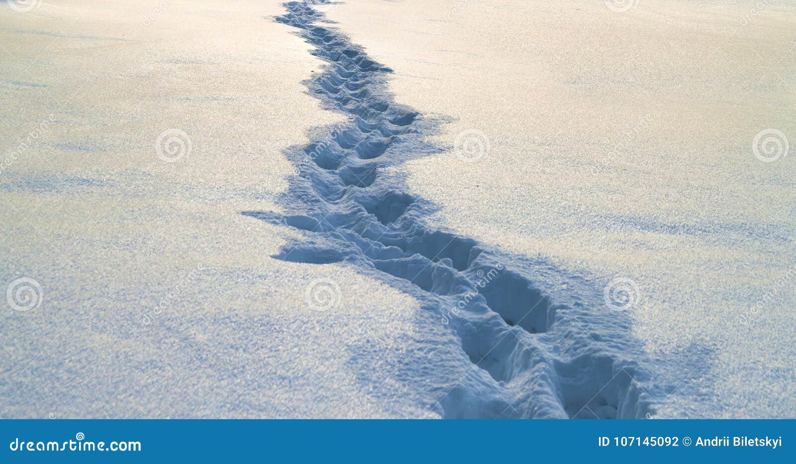 Path with Footprints in Snow in Winter. Stock Photo - Image of journey ...