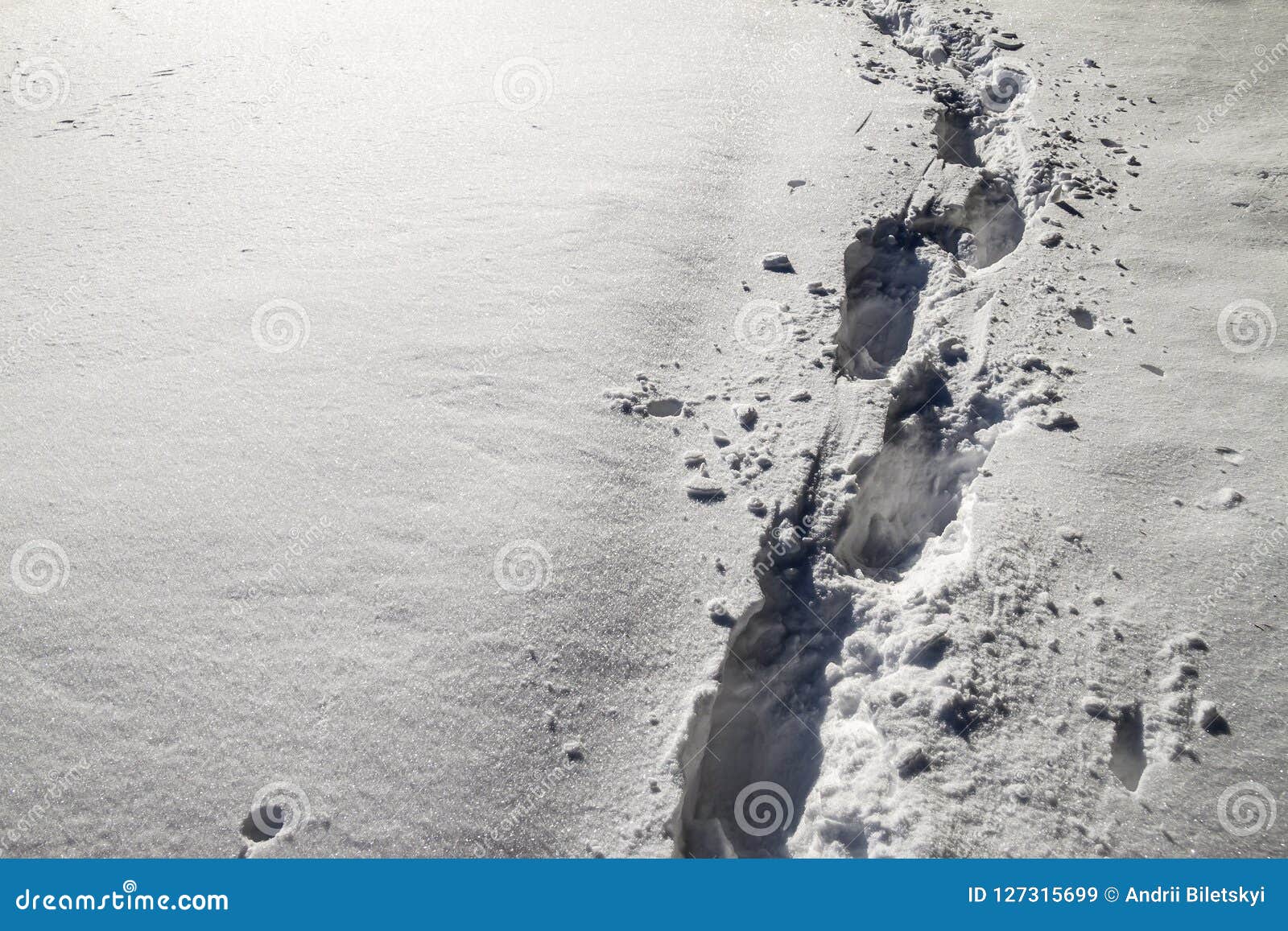 Path with Footprints in Snow in Winter. Stock Image - Image of explorer ...