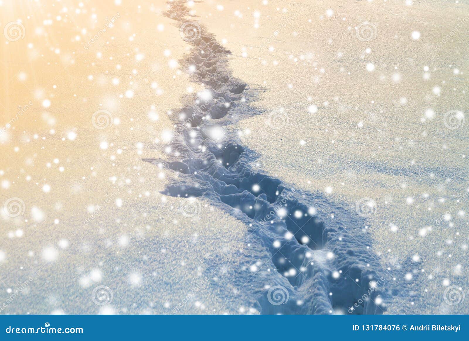 Path with Footprints in Snow in Winter Stock Photo - Image of cold ...