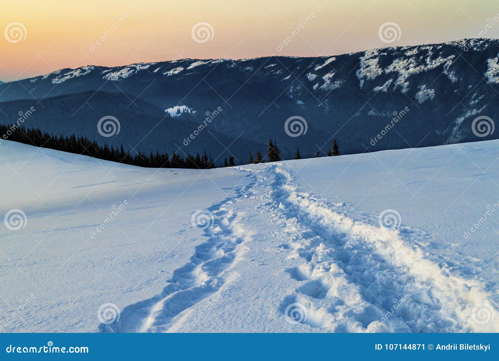 Path with Footprints in Snow in Winter Mountains. Stock Image - Image ...