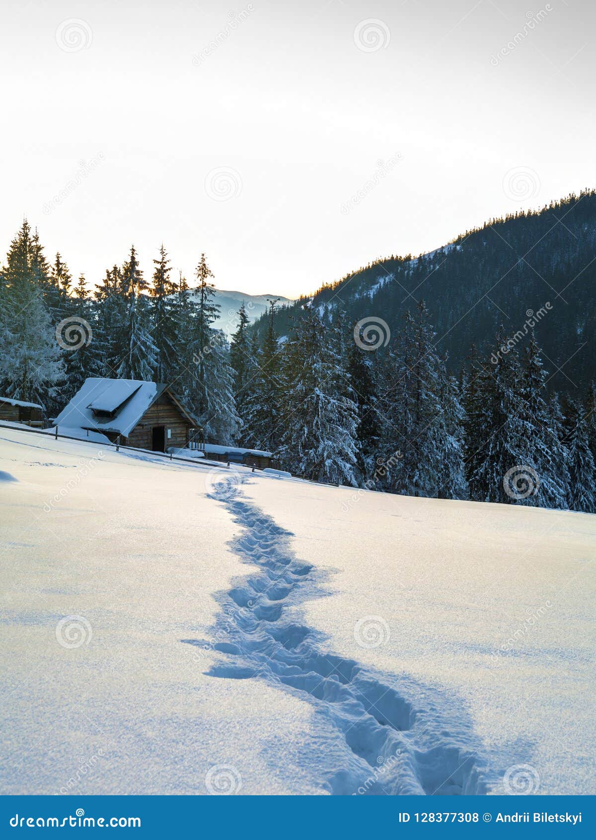 Path with Footprints in Snow in Winter Mountains. Stock Photo - Image ...