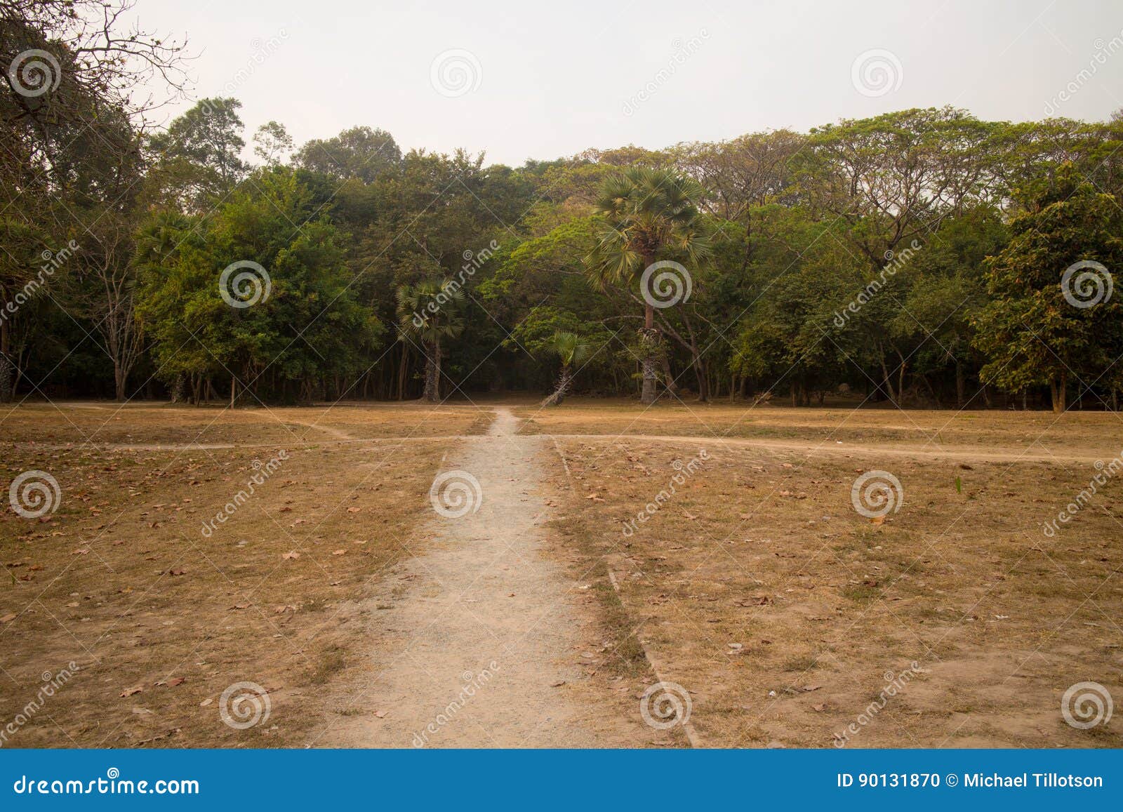 Path into the Forest Jungle Stock Photo - Image of angkor, asia: 90131870