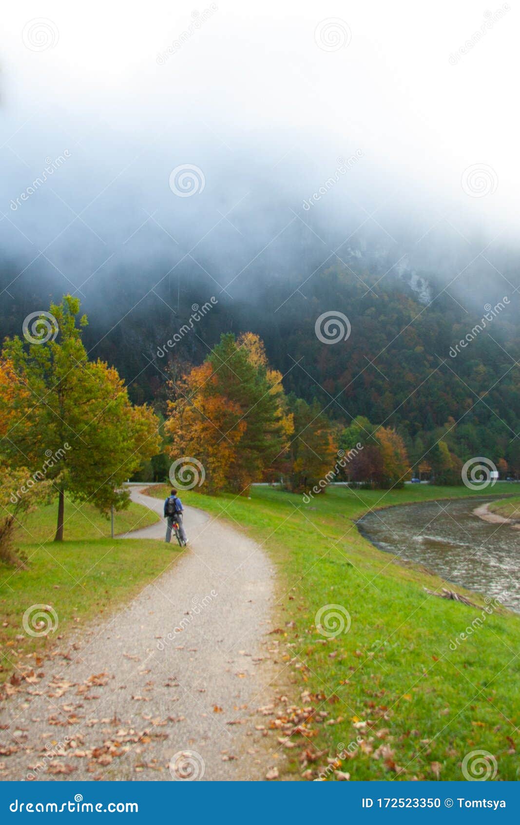 A Path through Forest in Bavarian Alps Stock Photo - Image of outdoors ...