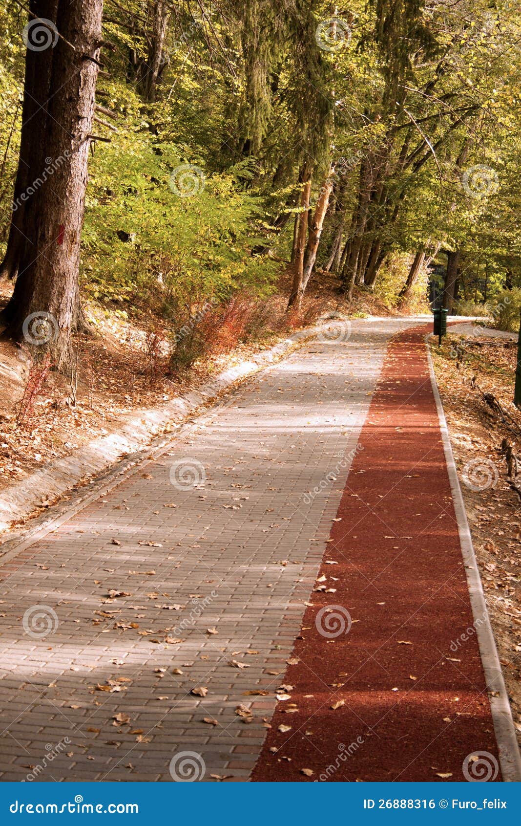Path in the Forest with Bike Stripe Stock Photo - Image of curvy, quiet ...