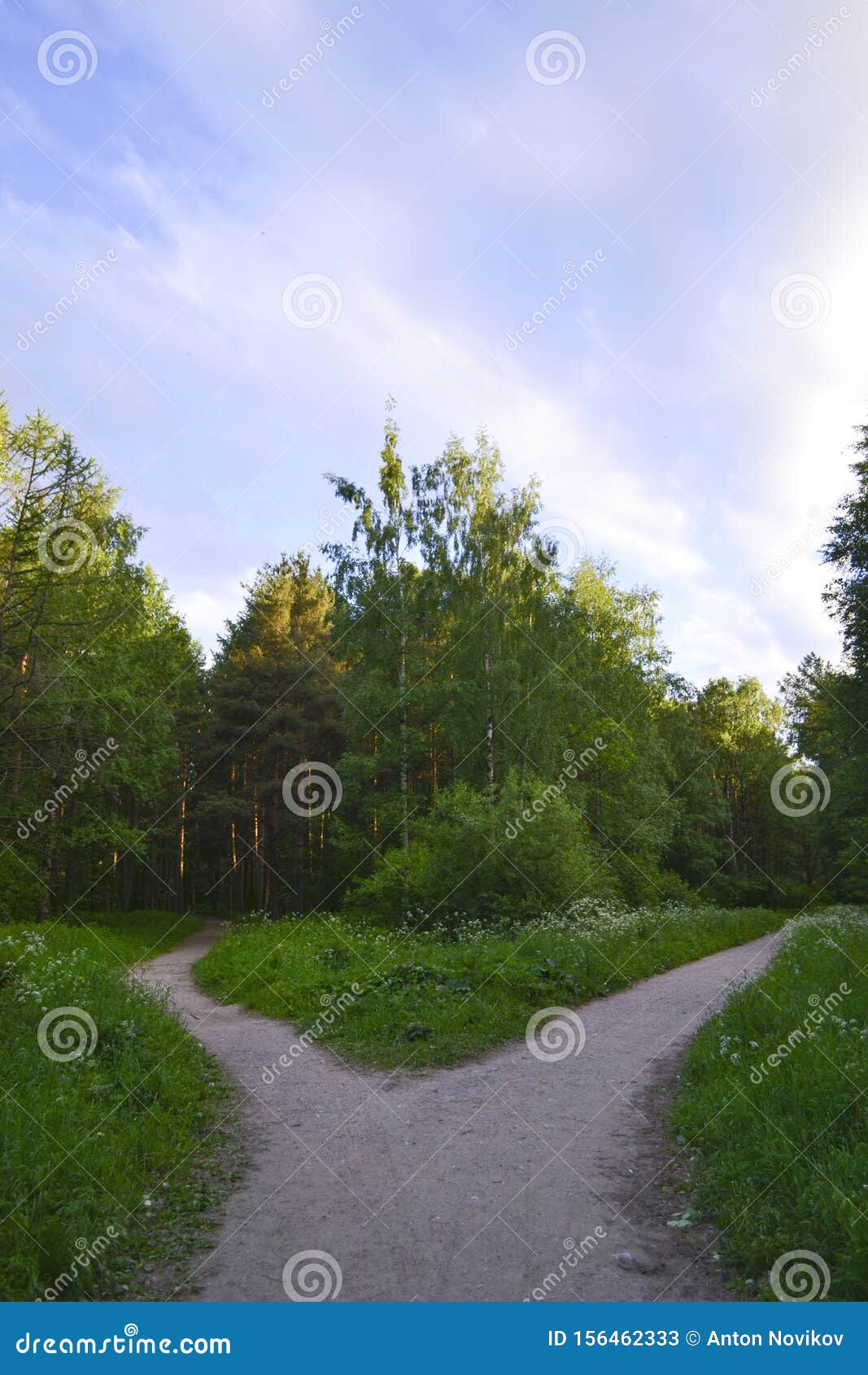 Paths Divided Woods Stock Photos - Free & Royalty-Free Stock Photos ...