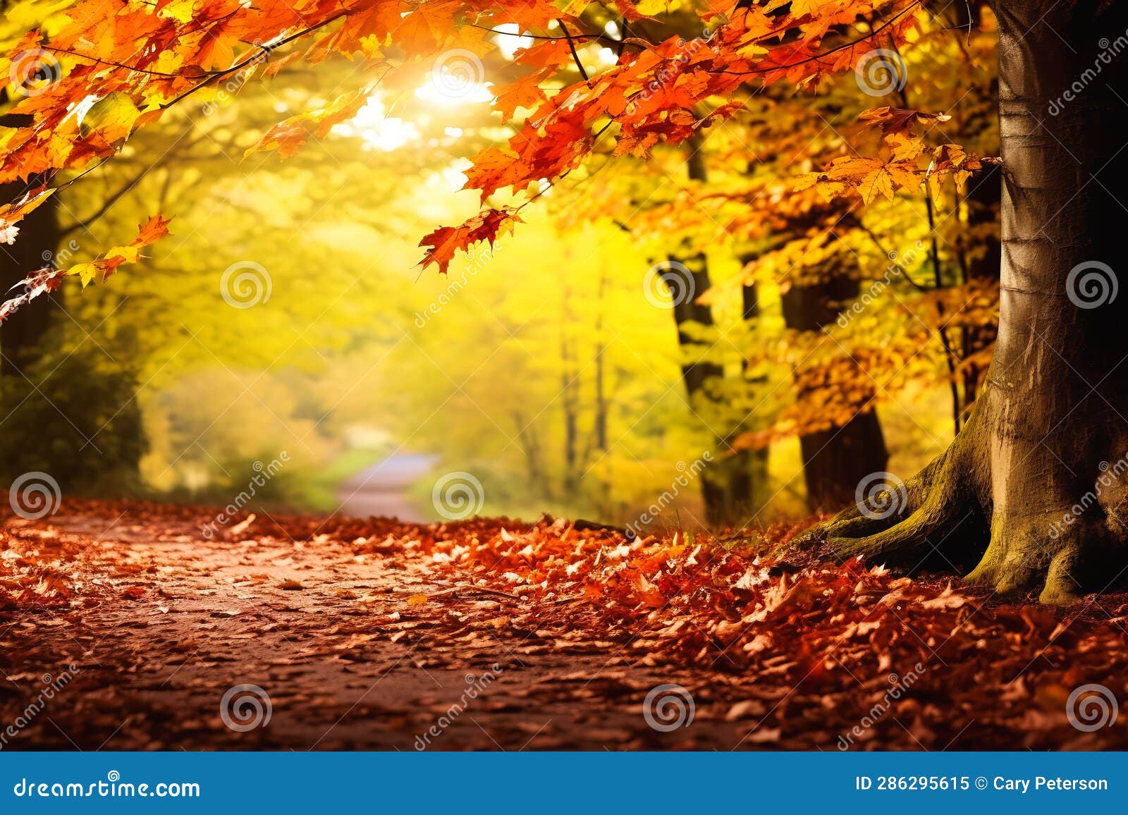 The Path through the Forest Stock Illustration - Illustration of path ...
