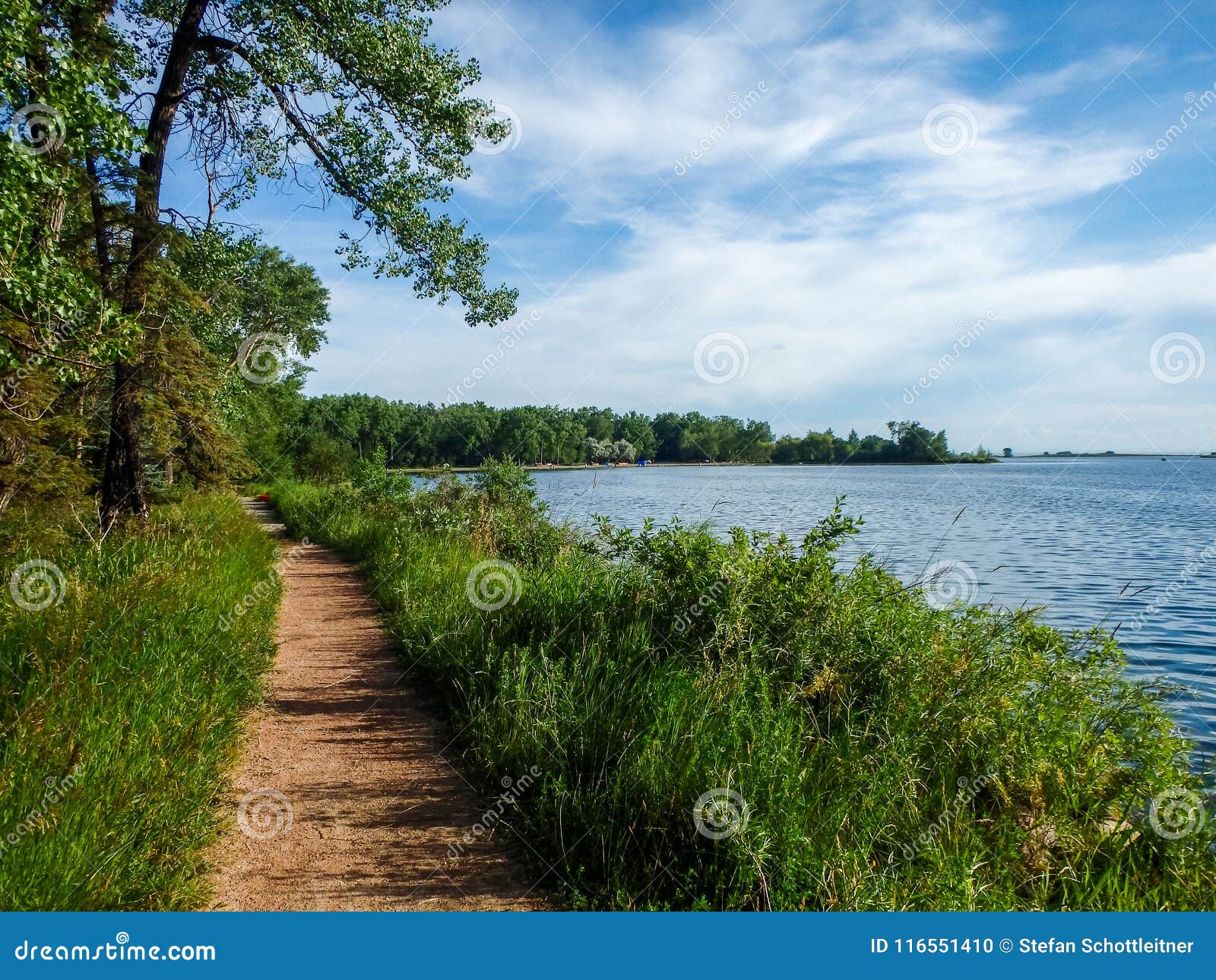 Path between Forest and Lake Stock Photo - Image of pond, path: 116551410