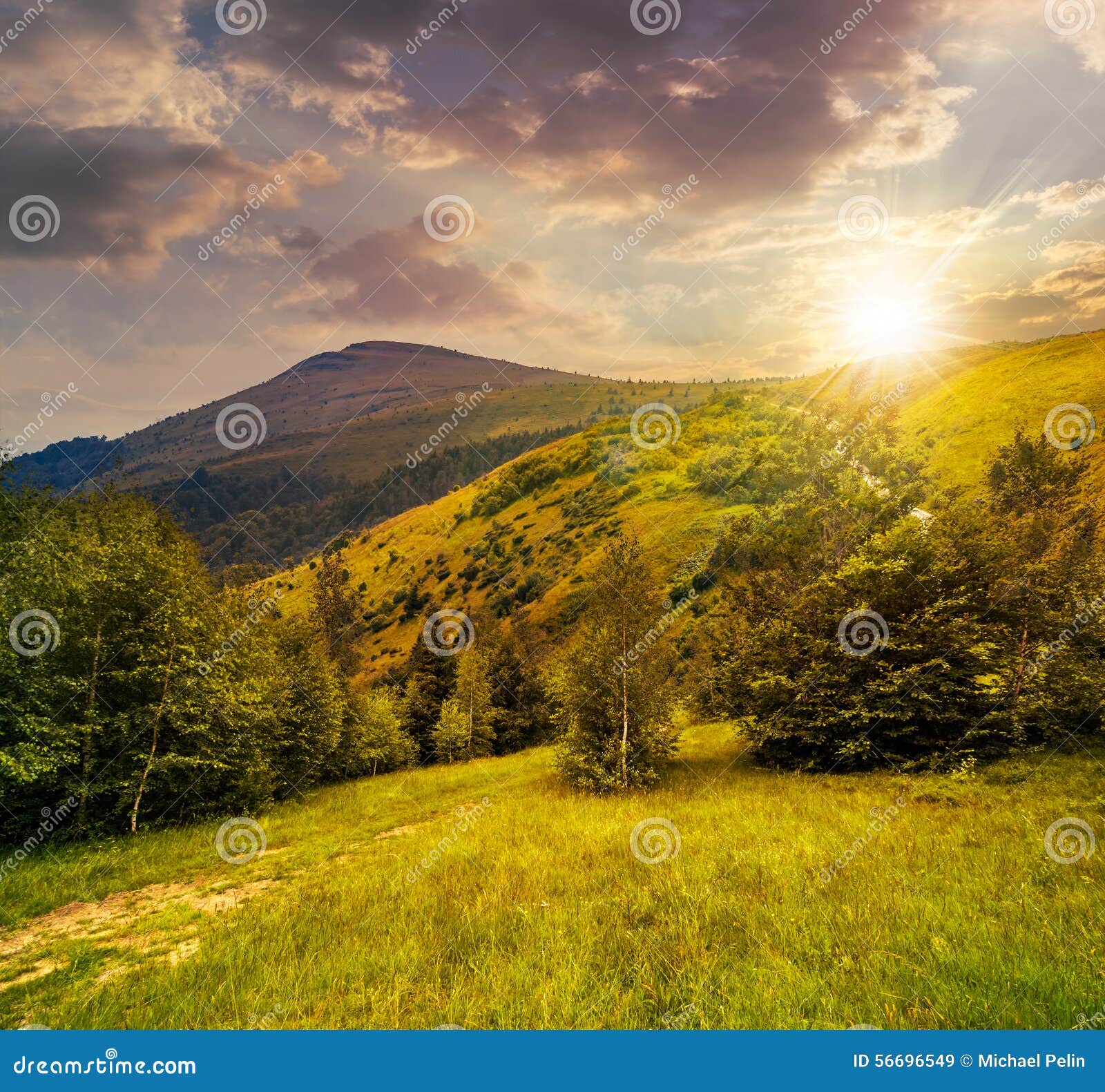 Path through the Forest in Mountains at Sunset Stock Image - Image of ...