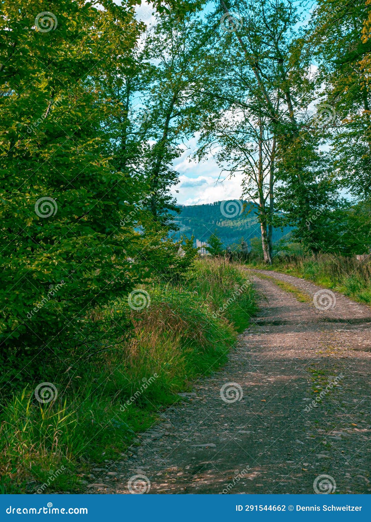 A Path through a Forest in Nice Weather Stock Photo - Image of foliage ...