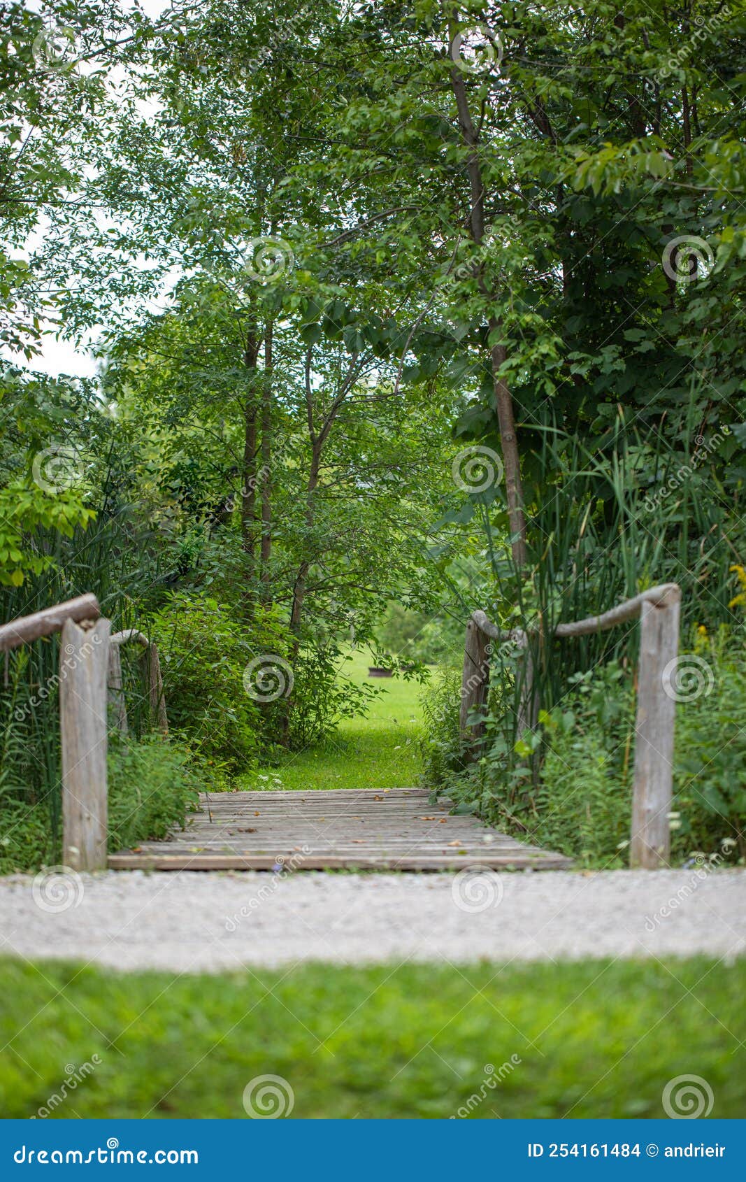 Path in the Green Forest. Small Wooden Bridge Stock Photo - Image of ...