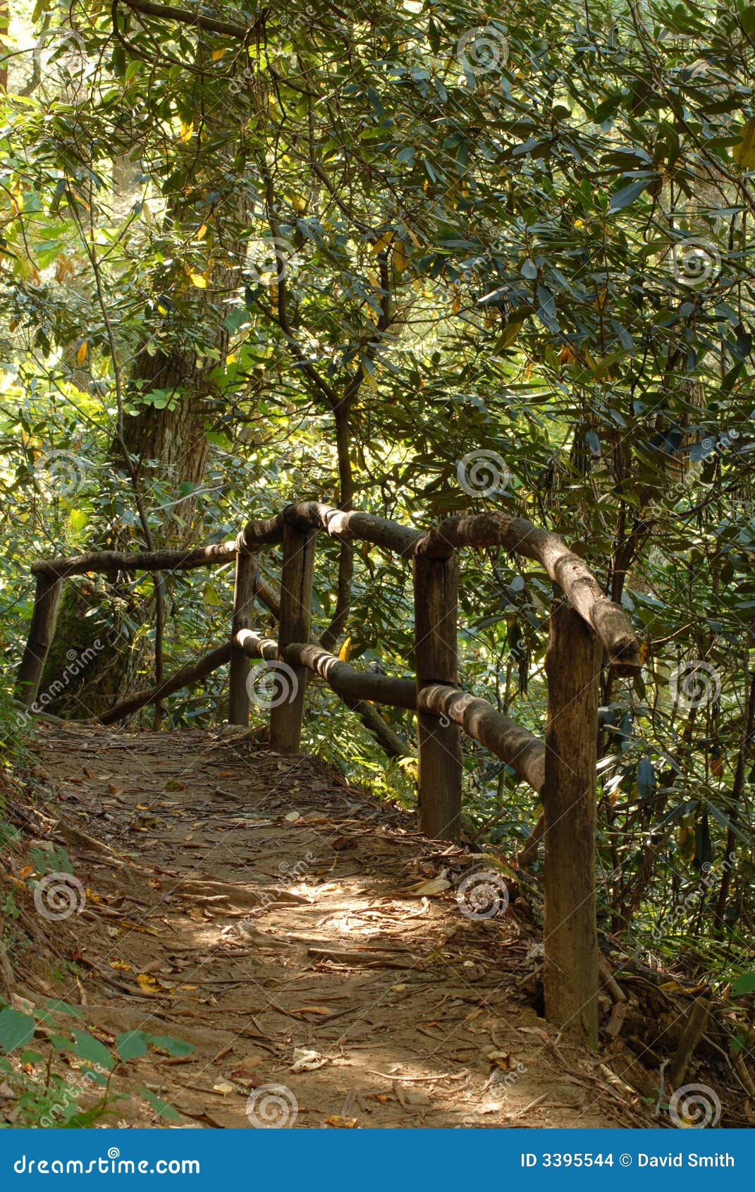 Path in a Forest with Railing Stock Photo - Image of path, pathway: 3395544